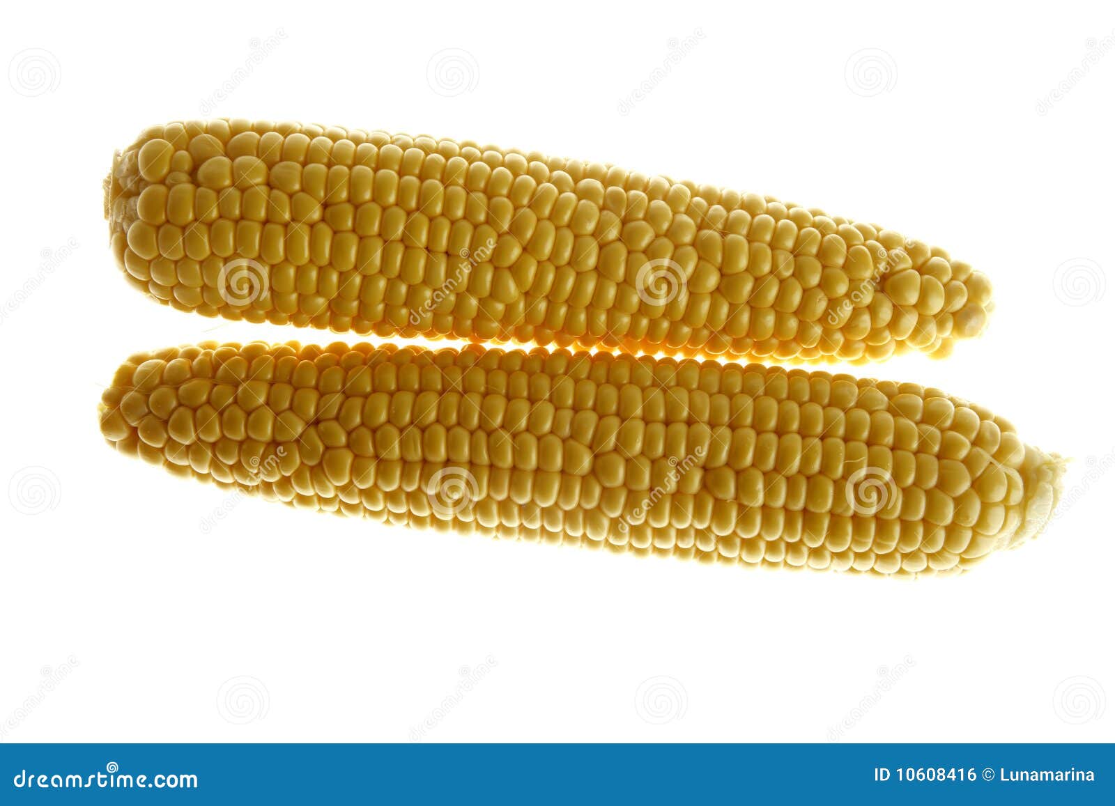 Mazorcas De Maíz En Color Amarillo Foto de archivo - Imagen de jugoso ...