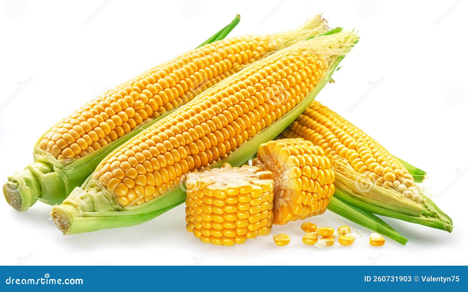 Mazorcas De Maíz O Mazorcas De Maíz Aisladas Sobre Fondo Blanco Imagen ...