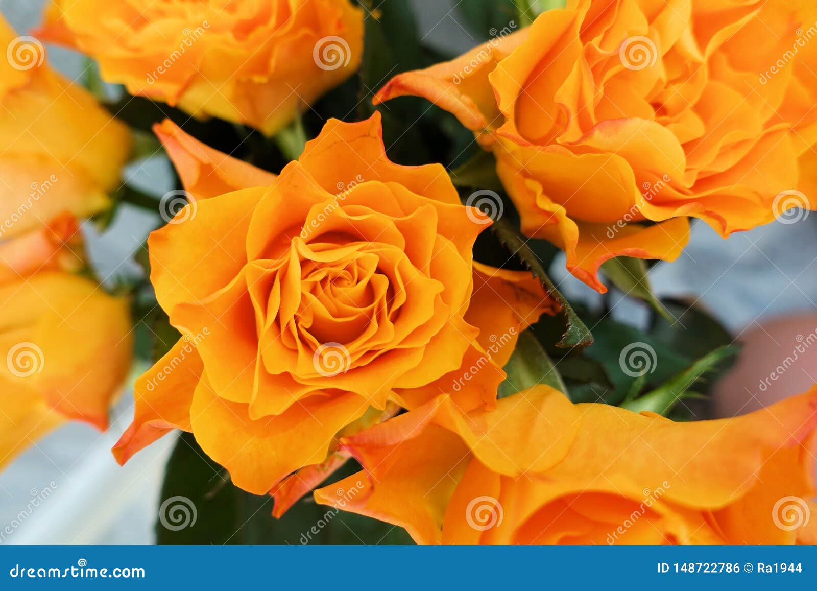 Mazzo Belle Di Rose Rosse Ed Arancio Fotografia Stock - Immagine di ...