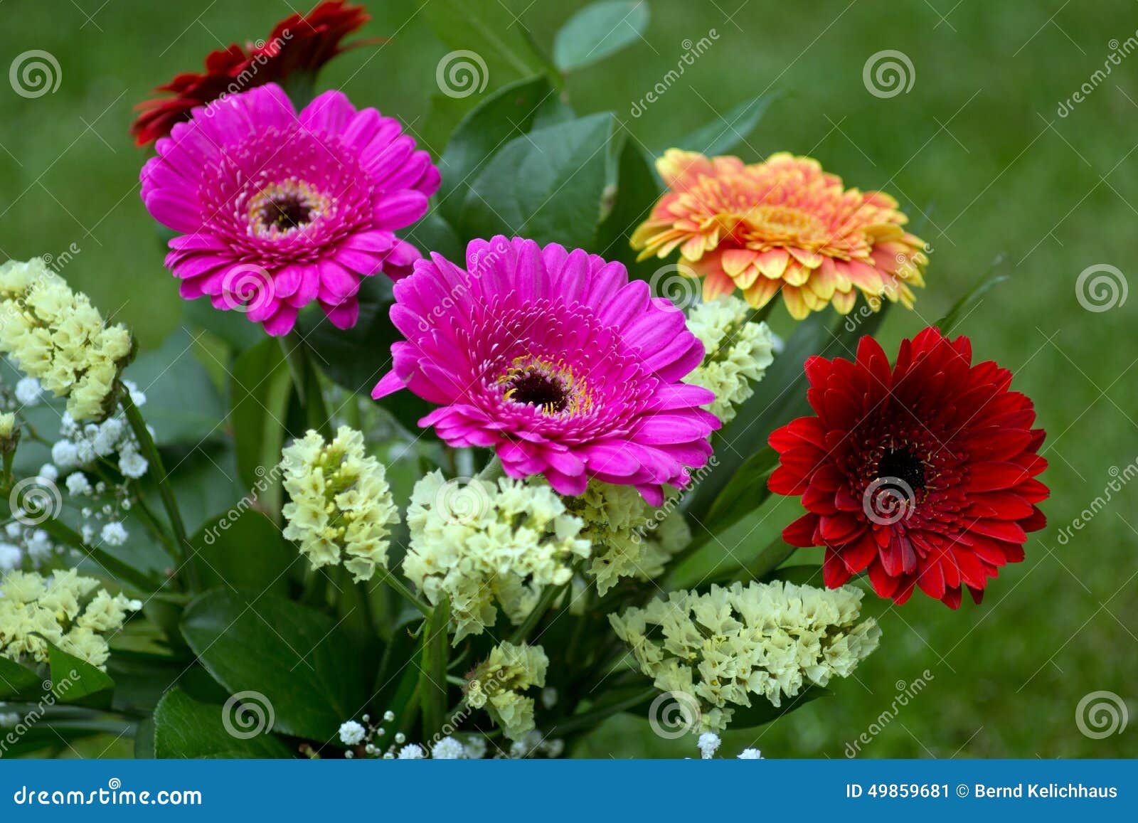 Mazzo Dai Fiori Della Gerbera Immagine Stock - Immagine di cerchio ...