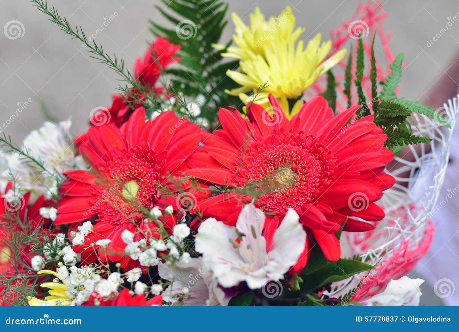 Mazzo Dei Crisantemi Gialli, Gerbera Rossa Immagine Stock - Immagine di ...