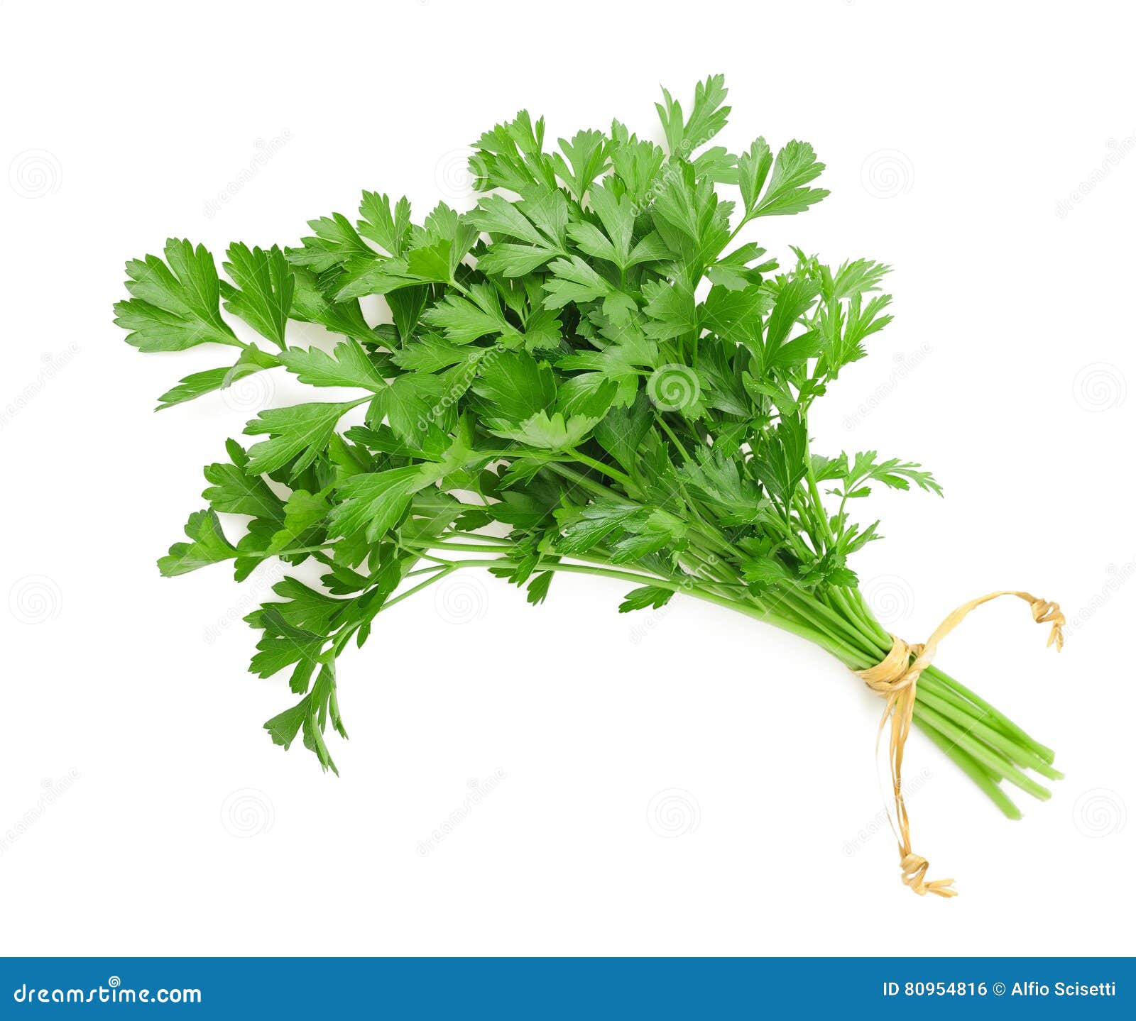 Mazzo del prezzemolo fotografia stock. Immagine di mazzo - 80954816