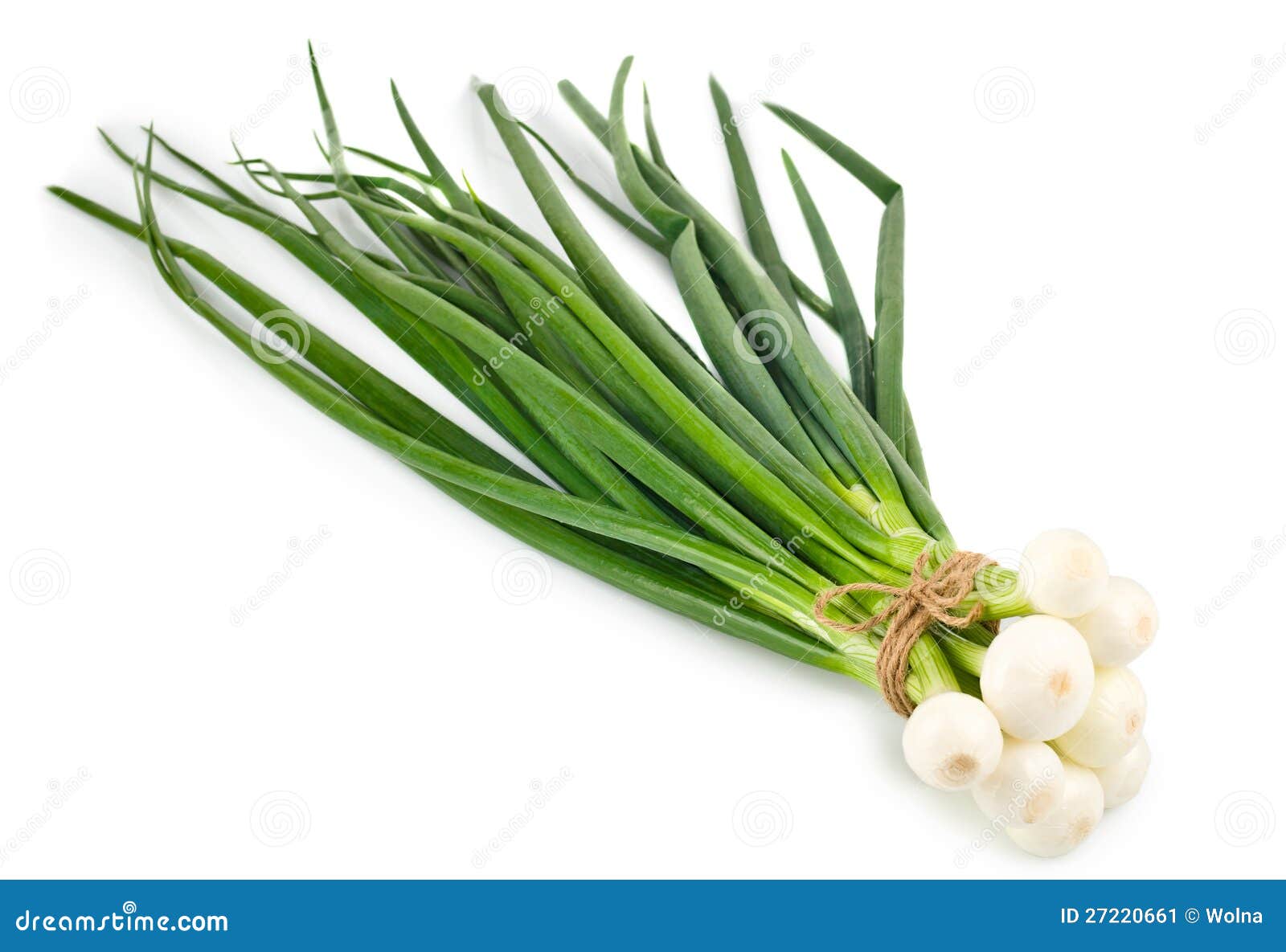 Mazzo della cipolla verde immagine stock. Immagine di fresco - 27220661