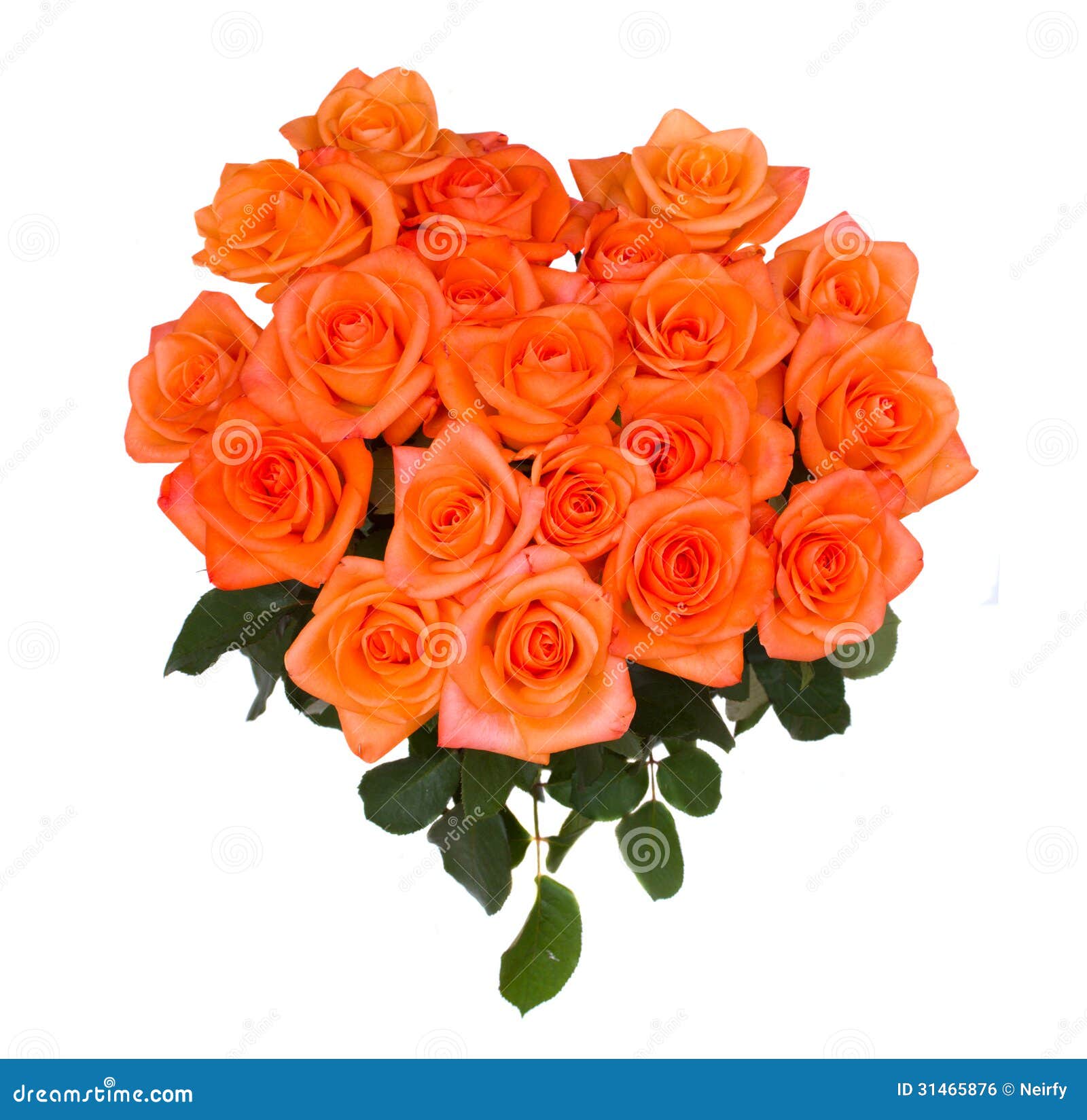 Mazzo delle rose arancio fotografia stock. Immagine di fiore - 31465876