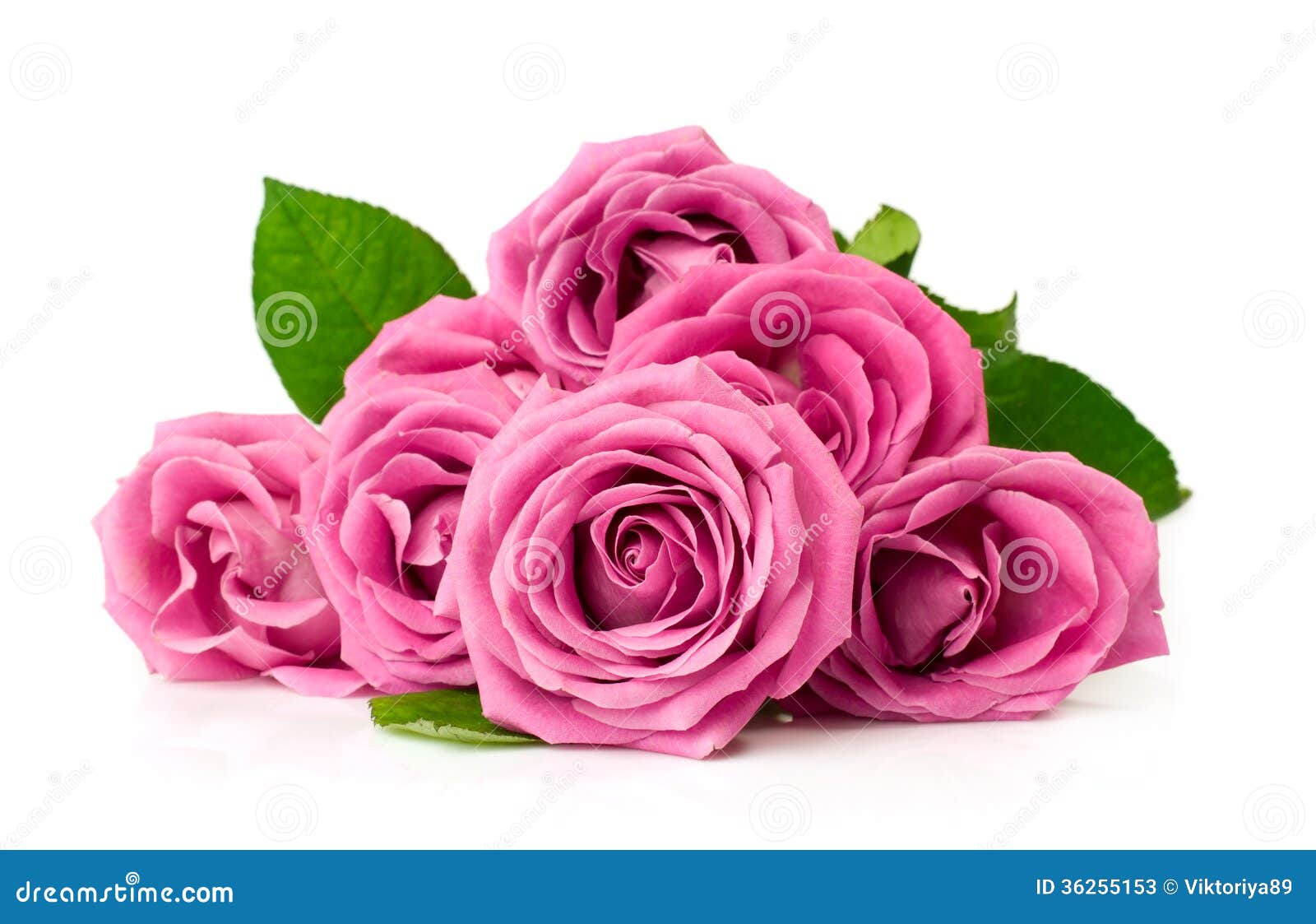 Mazzo delle rose rosa immagine stock. Immagine di flora - 36255153