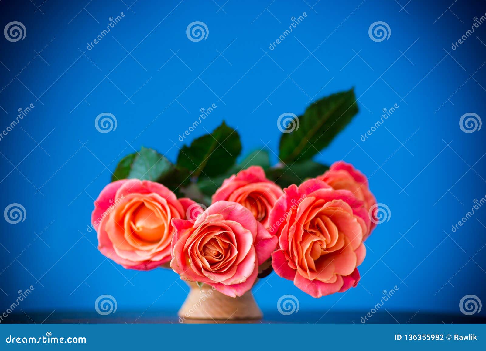 Mazzo Di Belle Rose Rosa Isolate Sul Blu Fotografia Stock - Immagine di ...