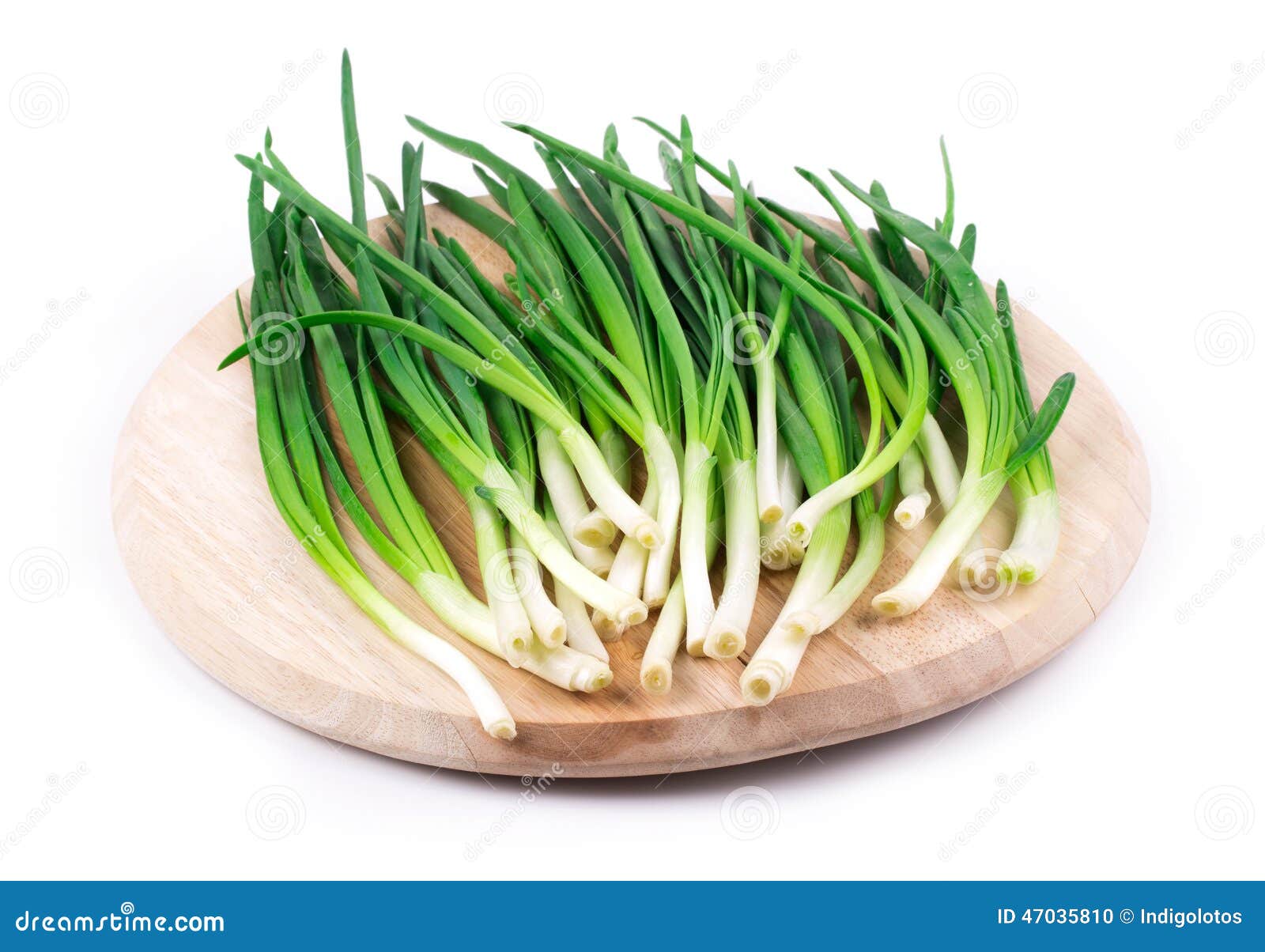 Mazzo di cipolla verde fotografia stock. Immagine di drogheria - 47035810