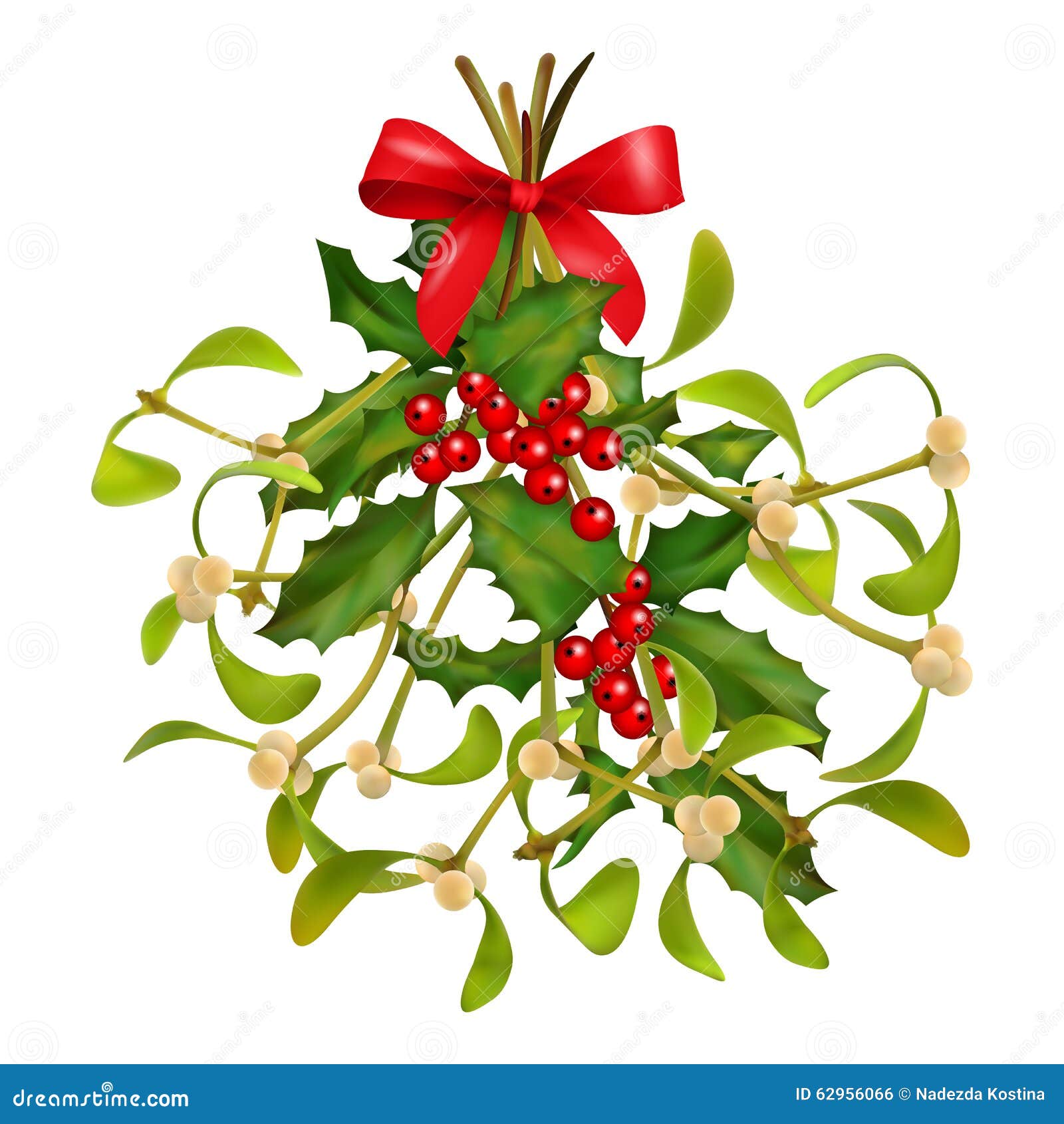 Mazzo Di Natale Vischio E Dell'agrifoglio Illustrazione Vettoriale ...