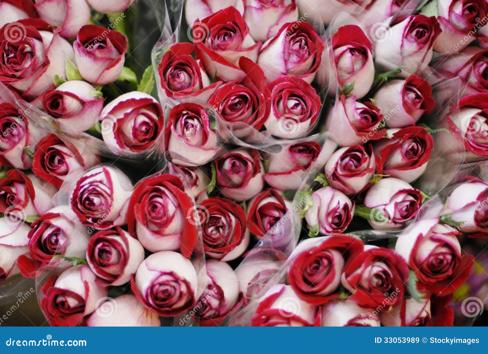 Mazzo Di Rosa E Di Rose Rosse Immagine Stock - Immagine di petalo ...