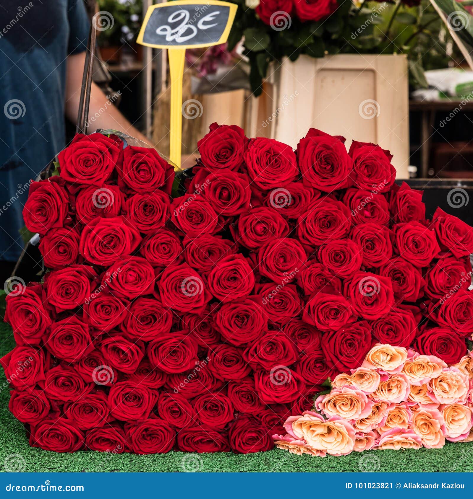 Mazzo di rose rosse e rosa immagine stock. Immagine di flora - 101023821