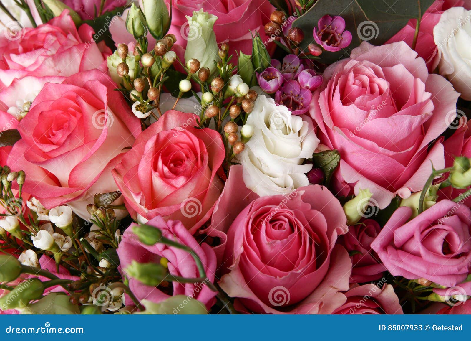 Mazzo enorme delle rose immagine stock. Immagine di sfondo - 85007933