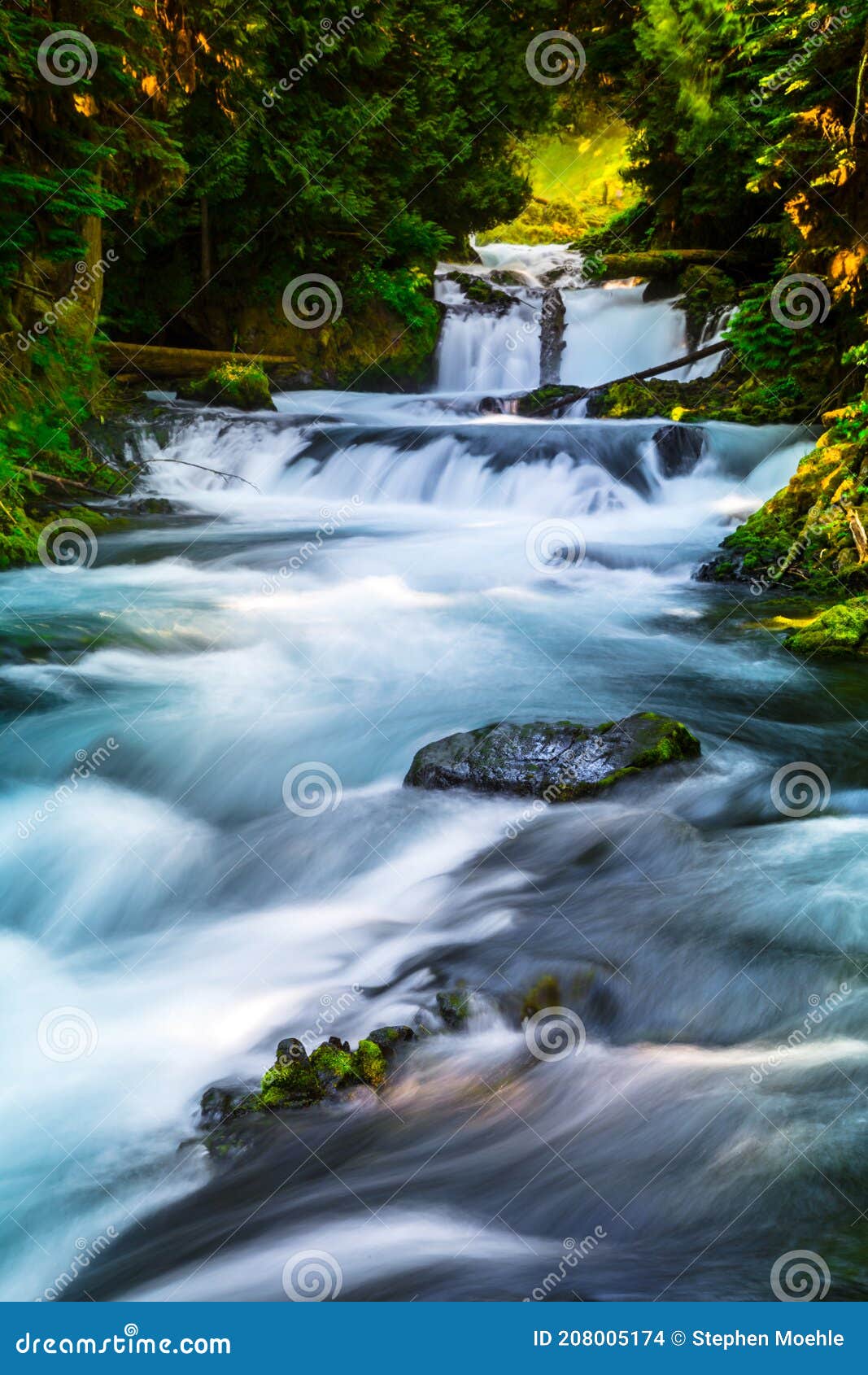 McKenzie River Cascades, Willamette National Forest, Oregon Stock Photo ...