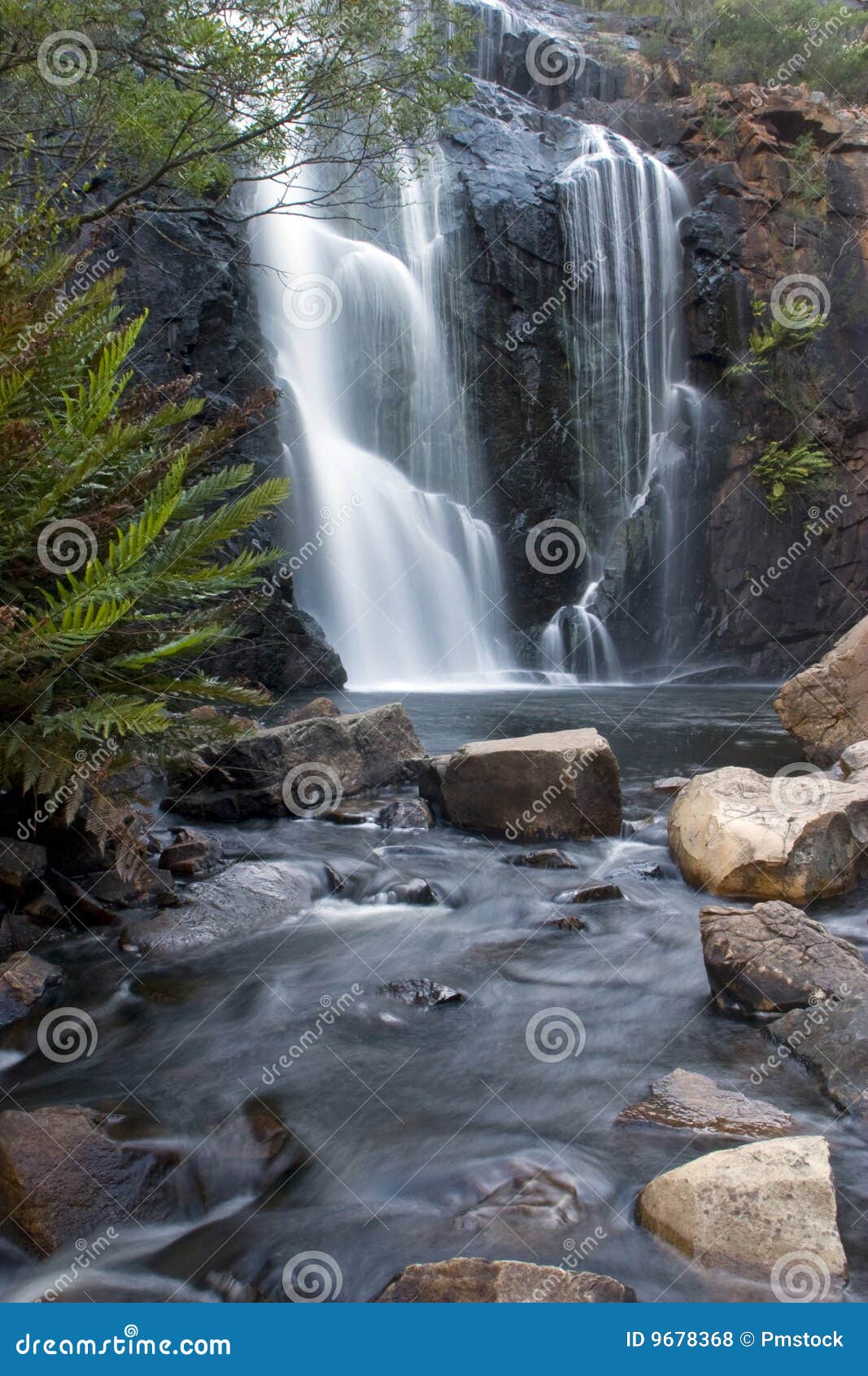 McKenzie waterfall stock photo. Image of vertical, view - 9678368