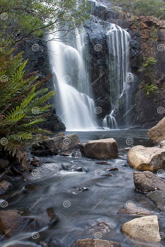 McKenzie waterfall stock photo. Image of vertical, view - 9678368