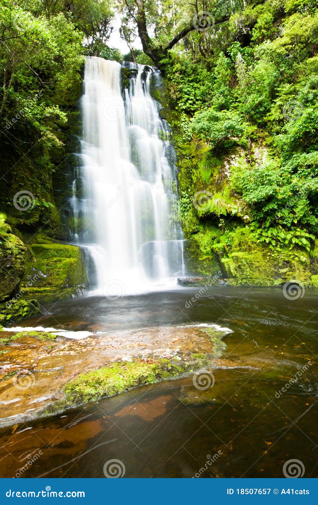 McLean Falls in the Catlins Stock Image - Image of plant, outdoor: 18507657
