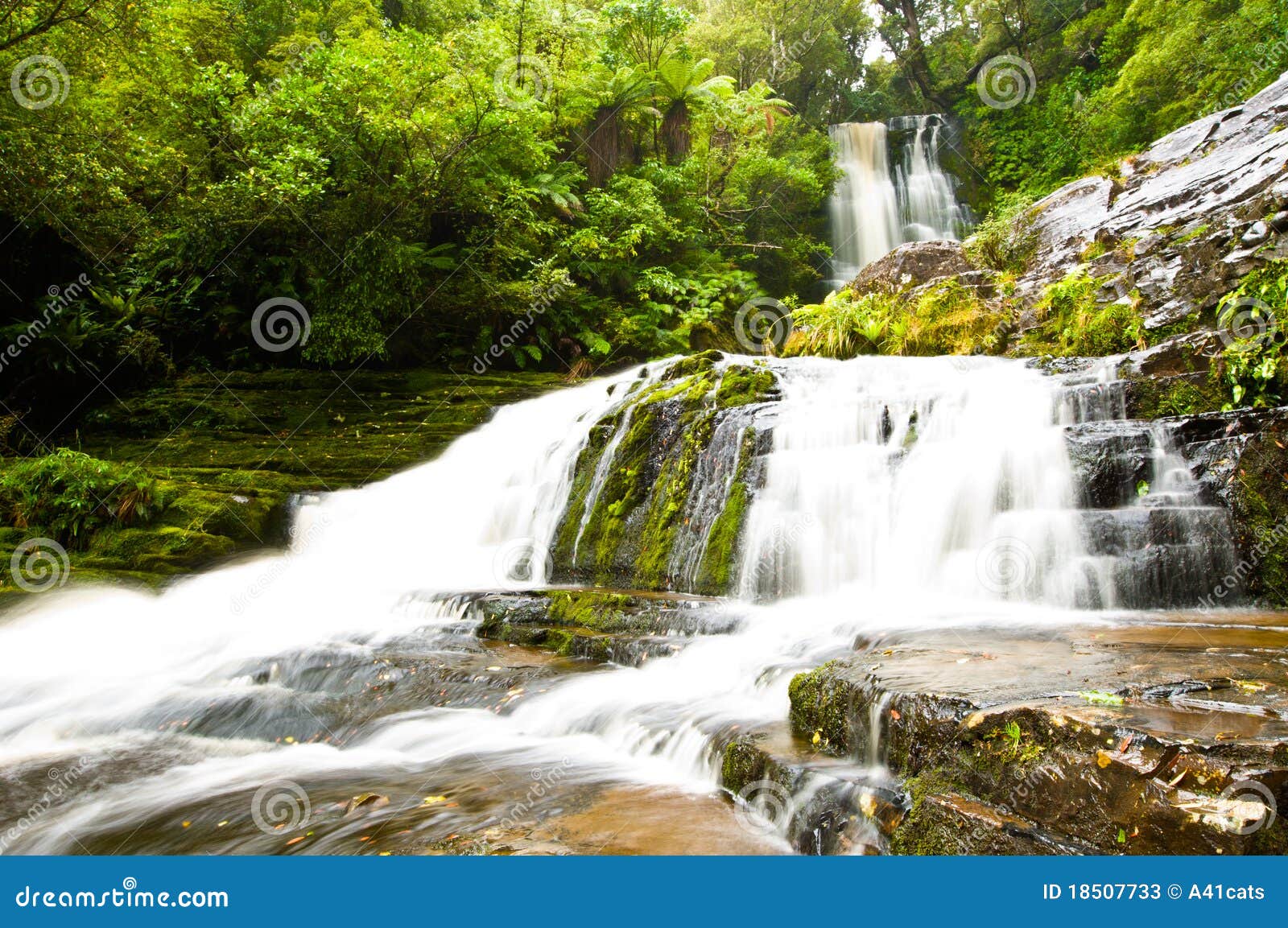 McLean Falls in the Catlins Stock Image - Image of fern, river: 18507733