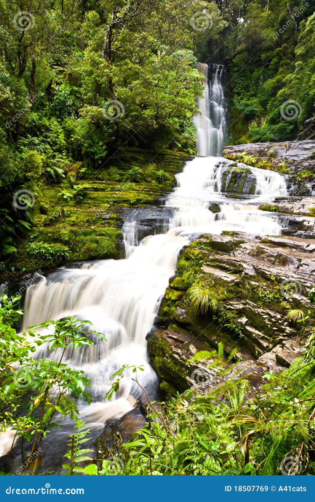 McLean Falls in the Catlins Stock Image - Image of environment, deep ...