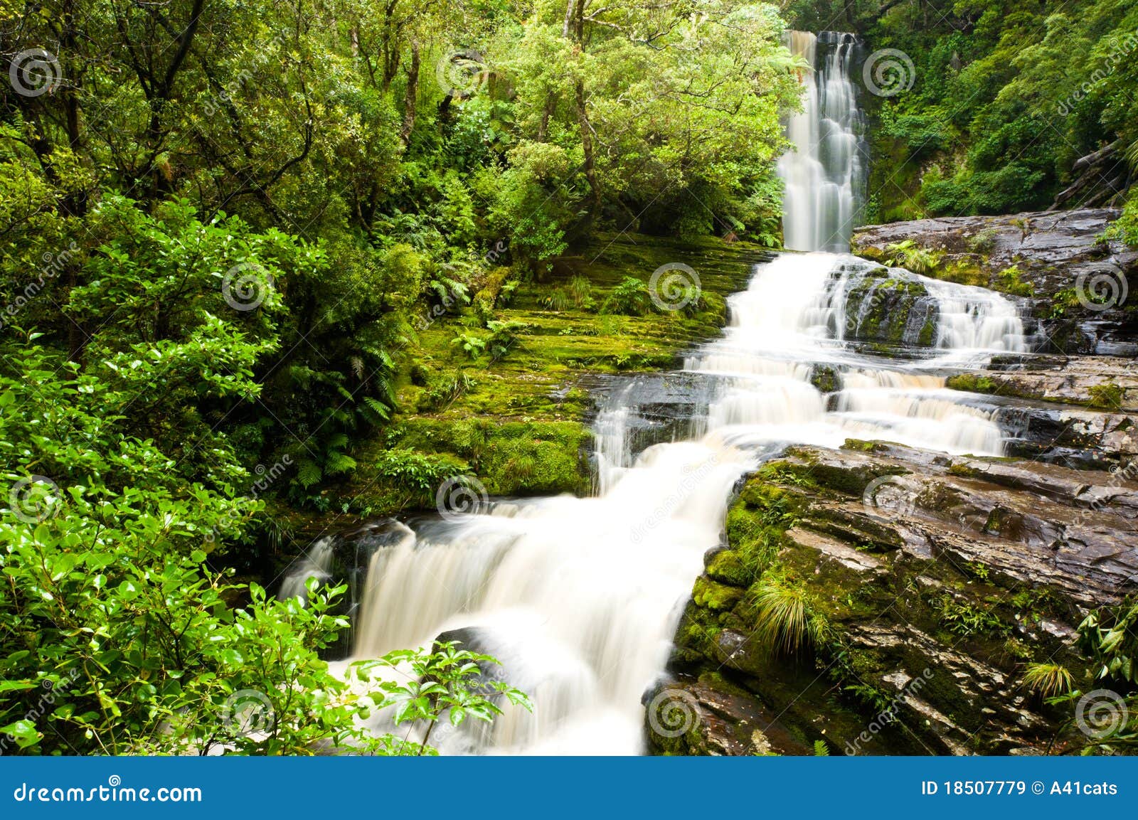 McLean Falls in the Catlins Stock Image - Image of plants, green: 18507779