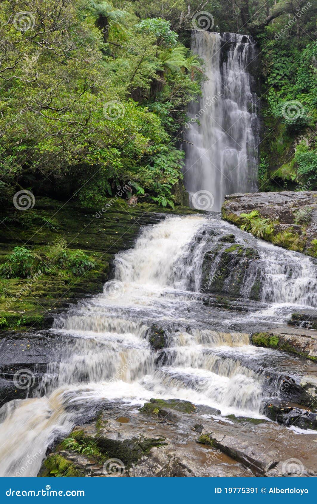 McLean Falls,the Catlins stock image. Image of mull, fall - 19775391