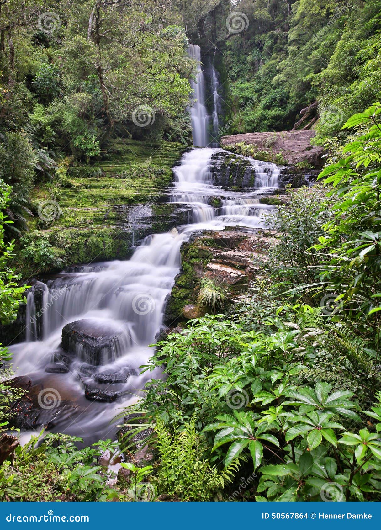 McLean Falls (Catlins Forest Park New Zealand) Stock Photo - Image of ...