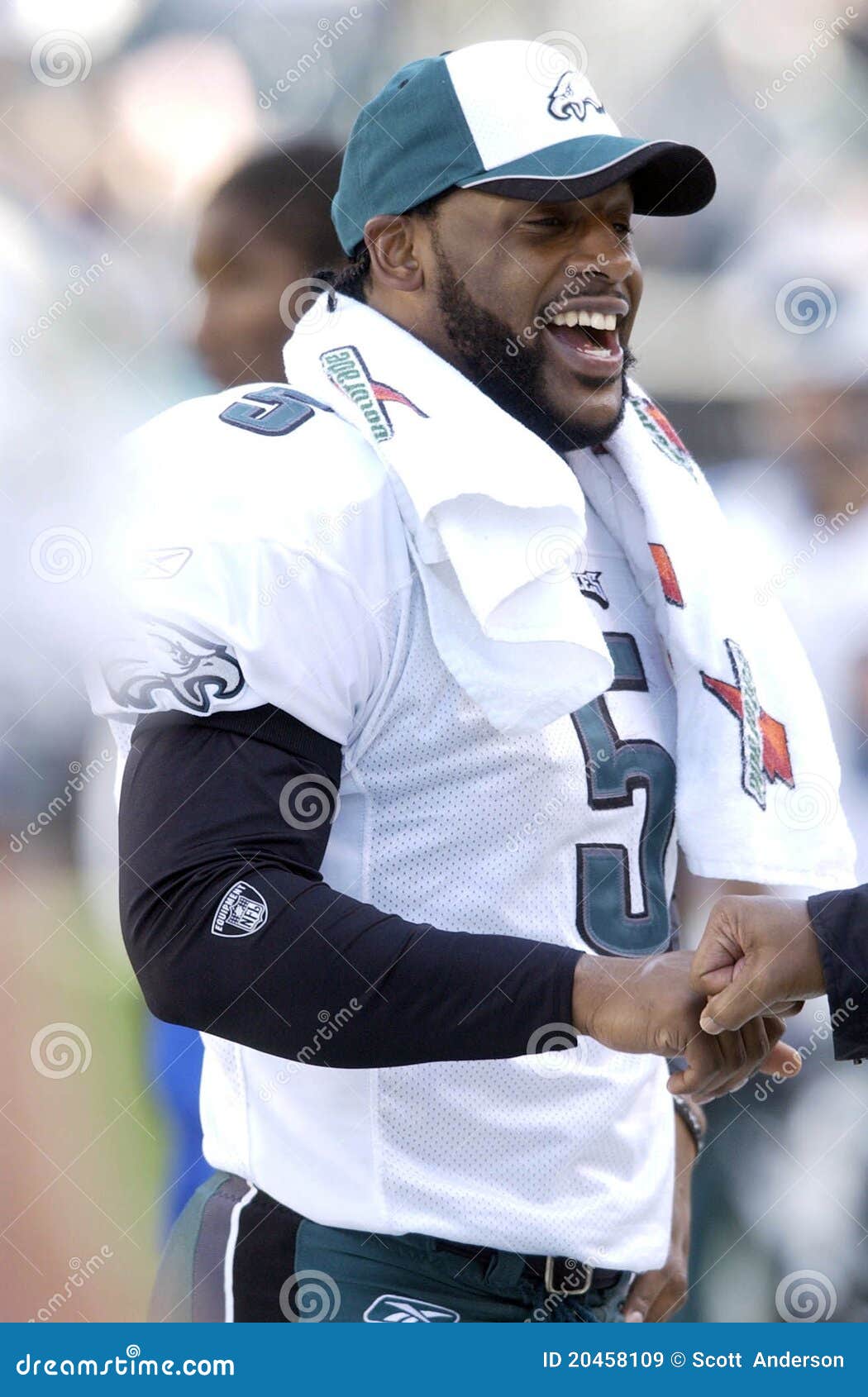 McNabb editorial stock image. Image of 2004, philadelphia - 20458109