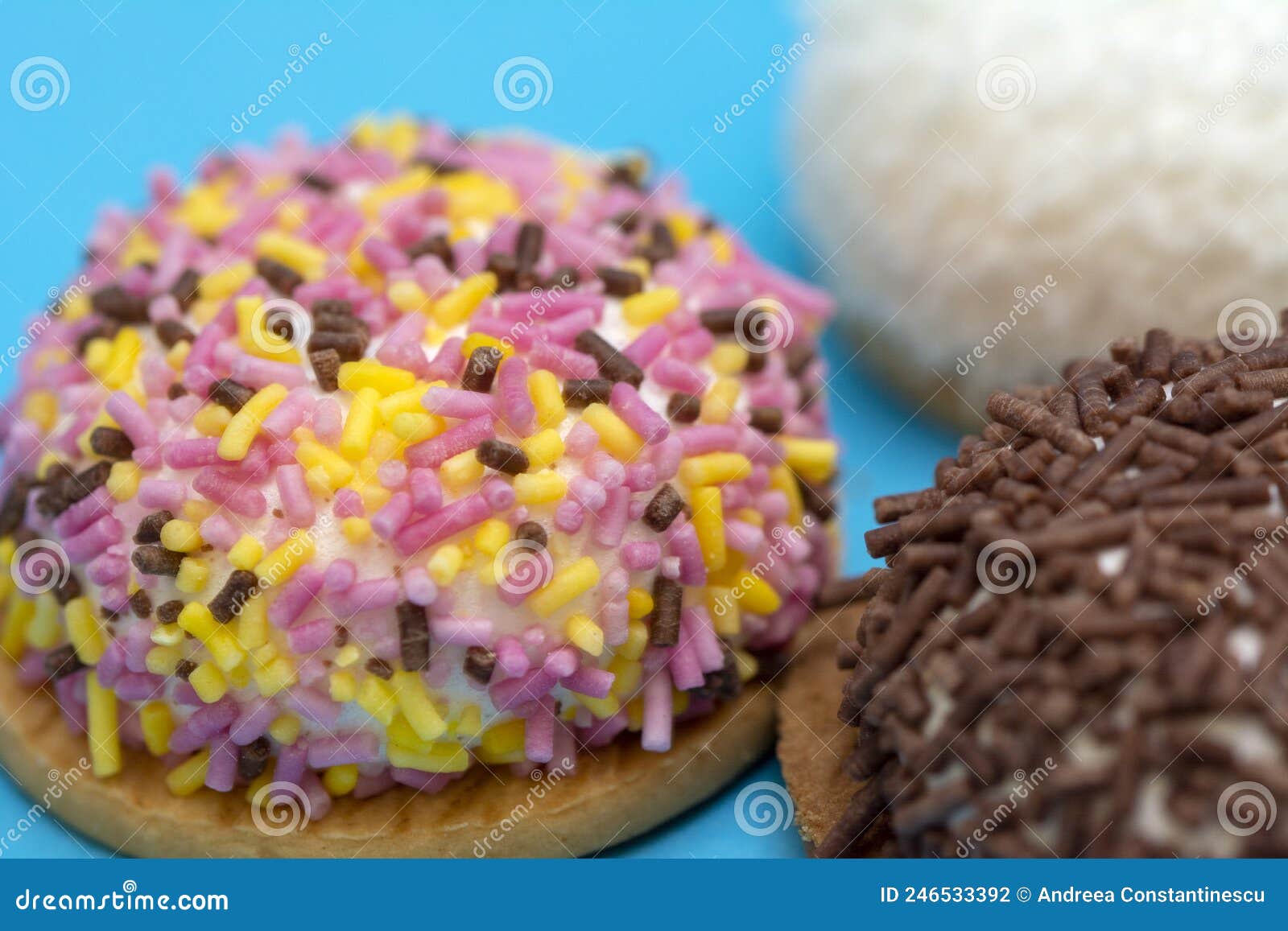 Marshmellow biscuit stock photo. Image of cocoa, gourmet - 246533392