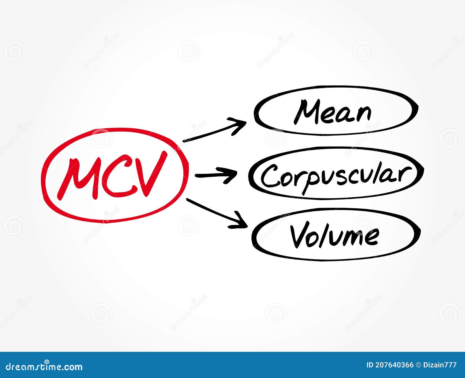 MCV Mean Corpuscular Volume - Measure Of The Average Volume Of A Red ...
