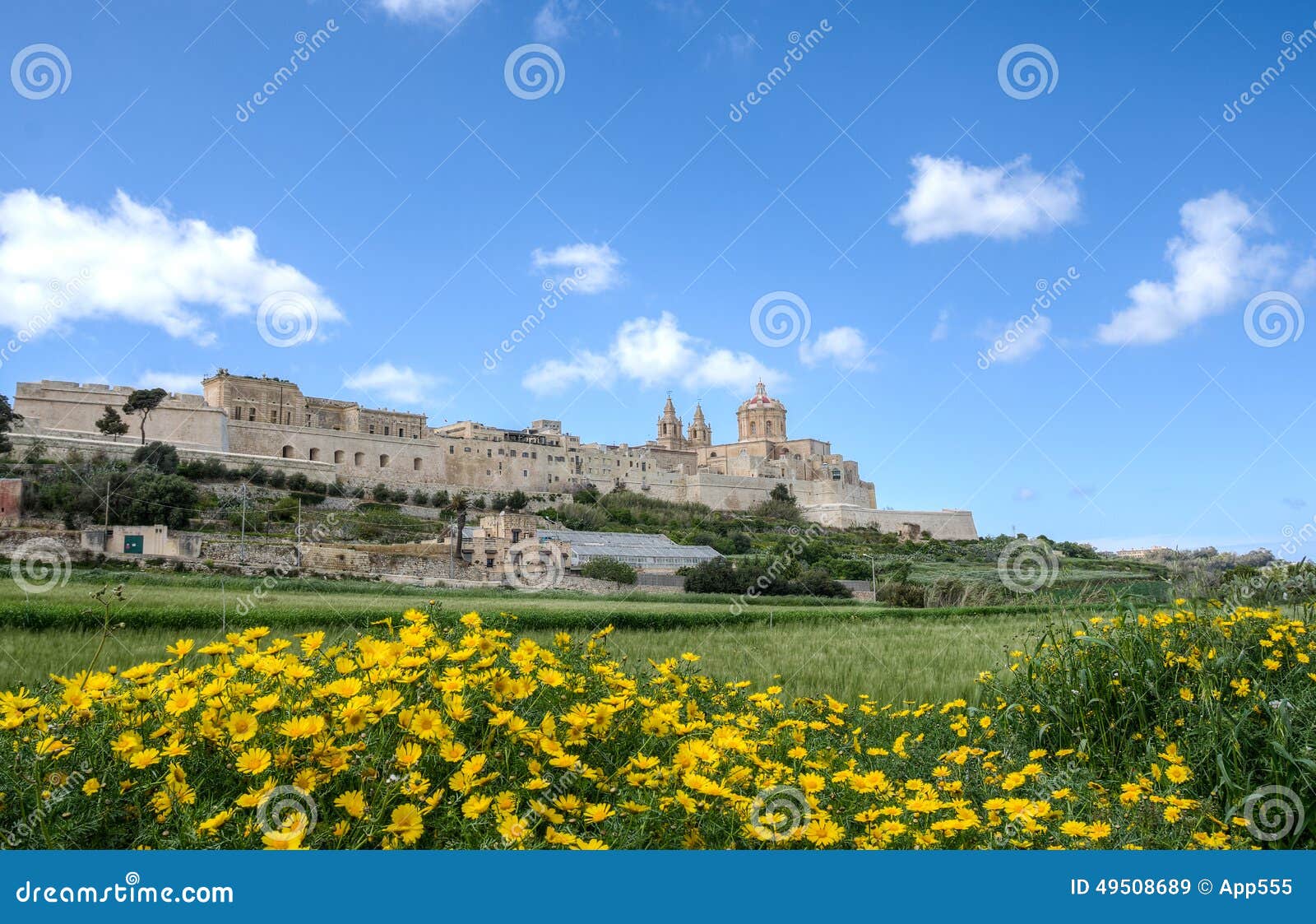 Mdina, Malta stock image. Image of fiels, serene, sandstone - 49508689