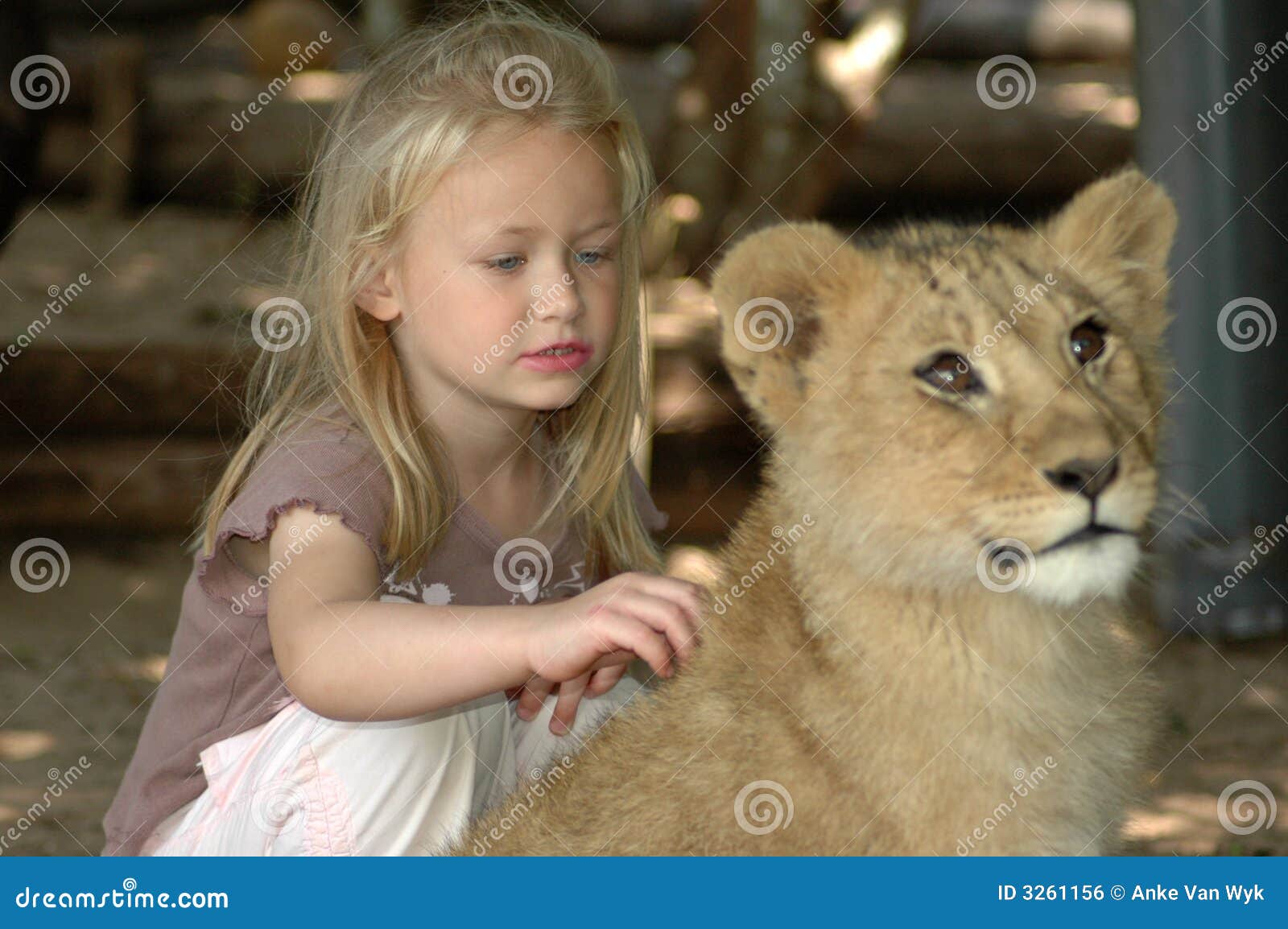 Me and my wild friend stock photo. Image of grow, environment - 3261156