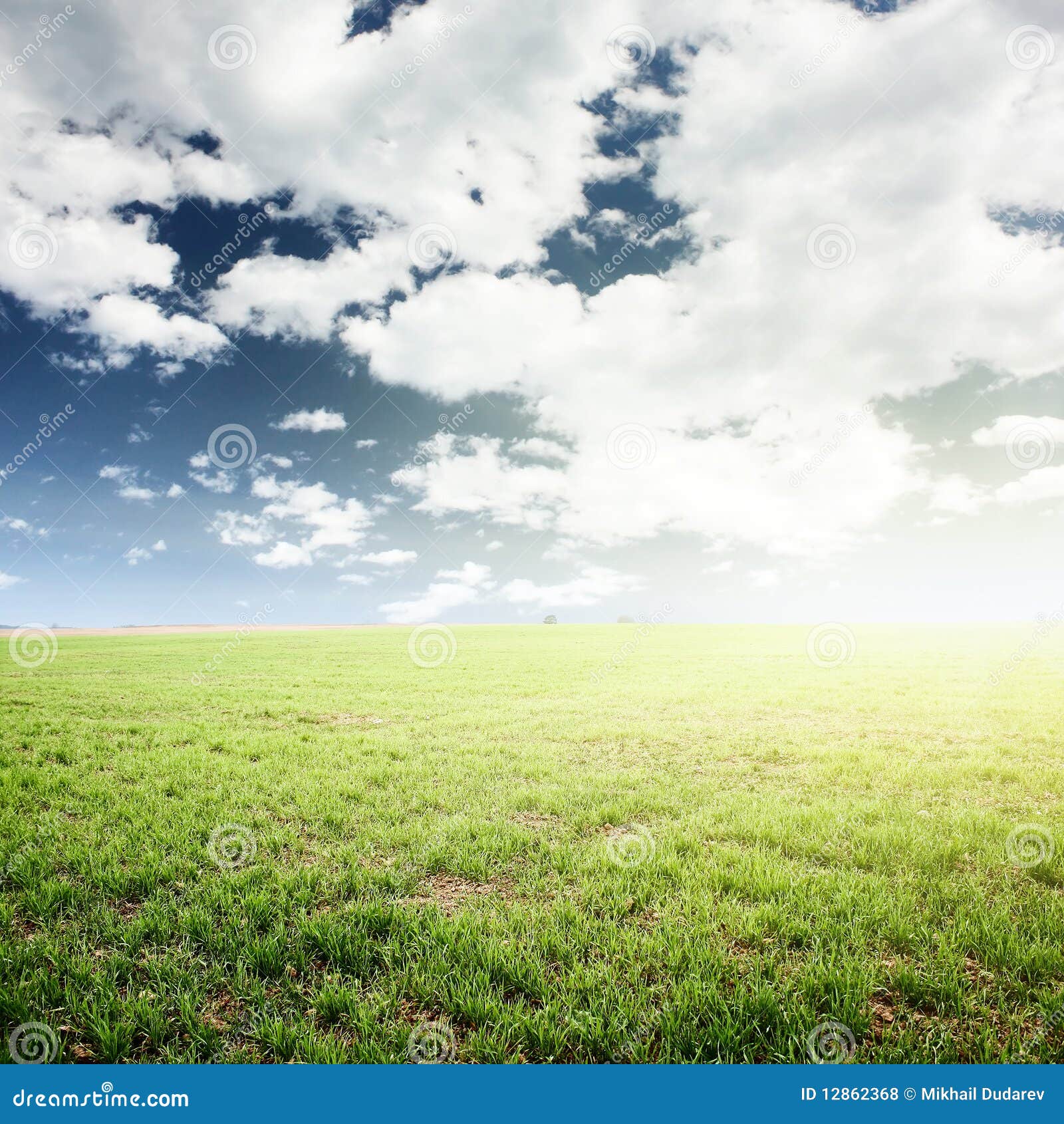 Meadow stock photo. Image of scene, light, green, growth - 12862368