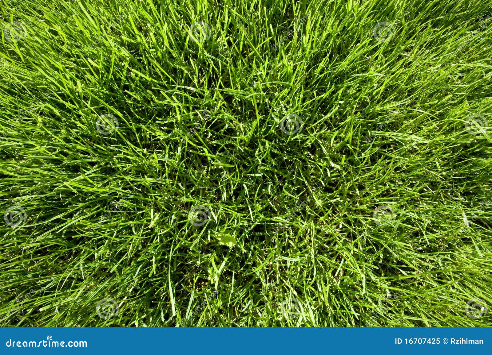 Meadow stock image. Image of soil, angle, surface, area - 16707425