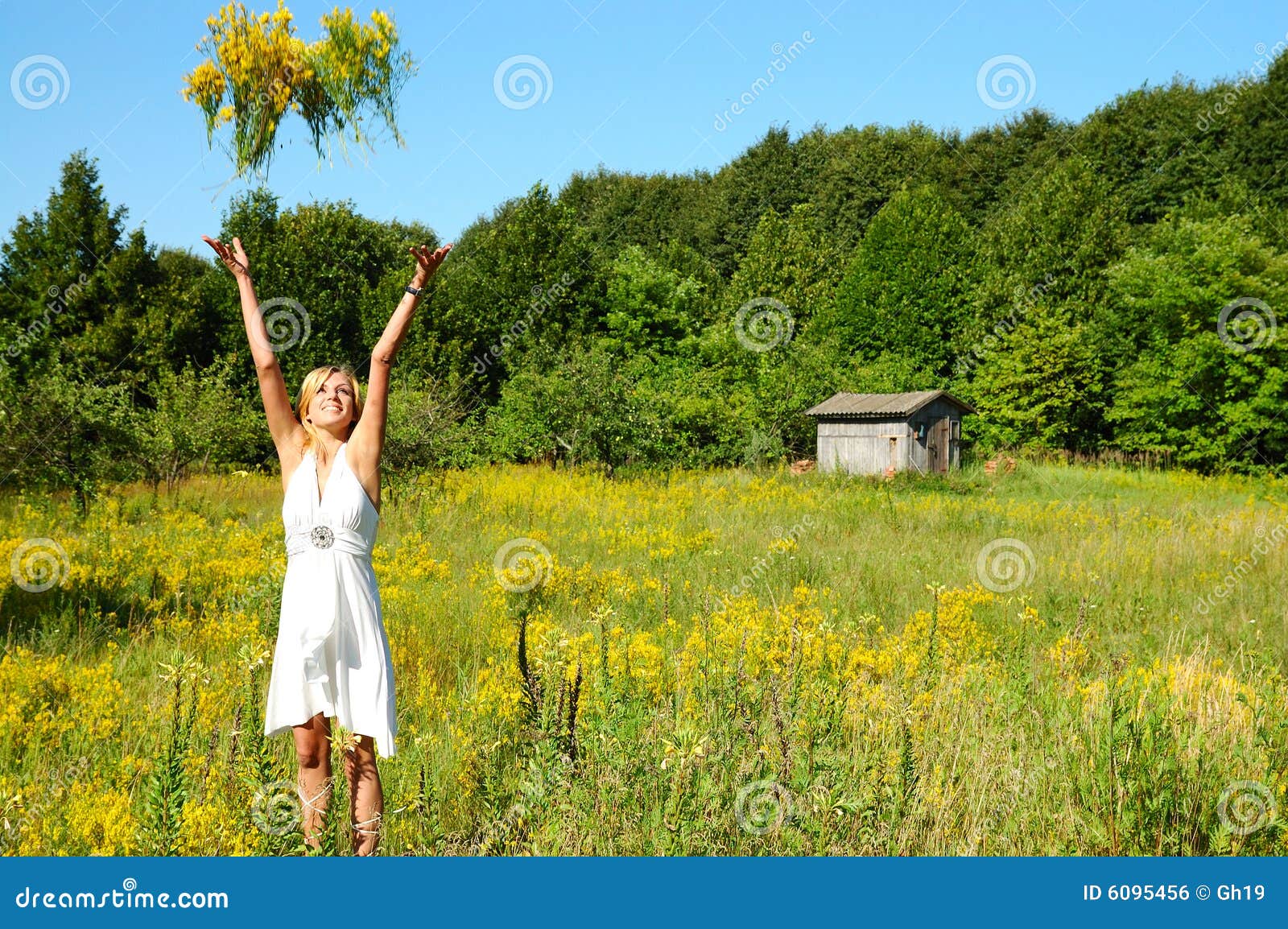 Meadow#2 stock photo. Image of meadow, green, blossom - 6095456