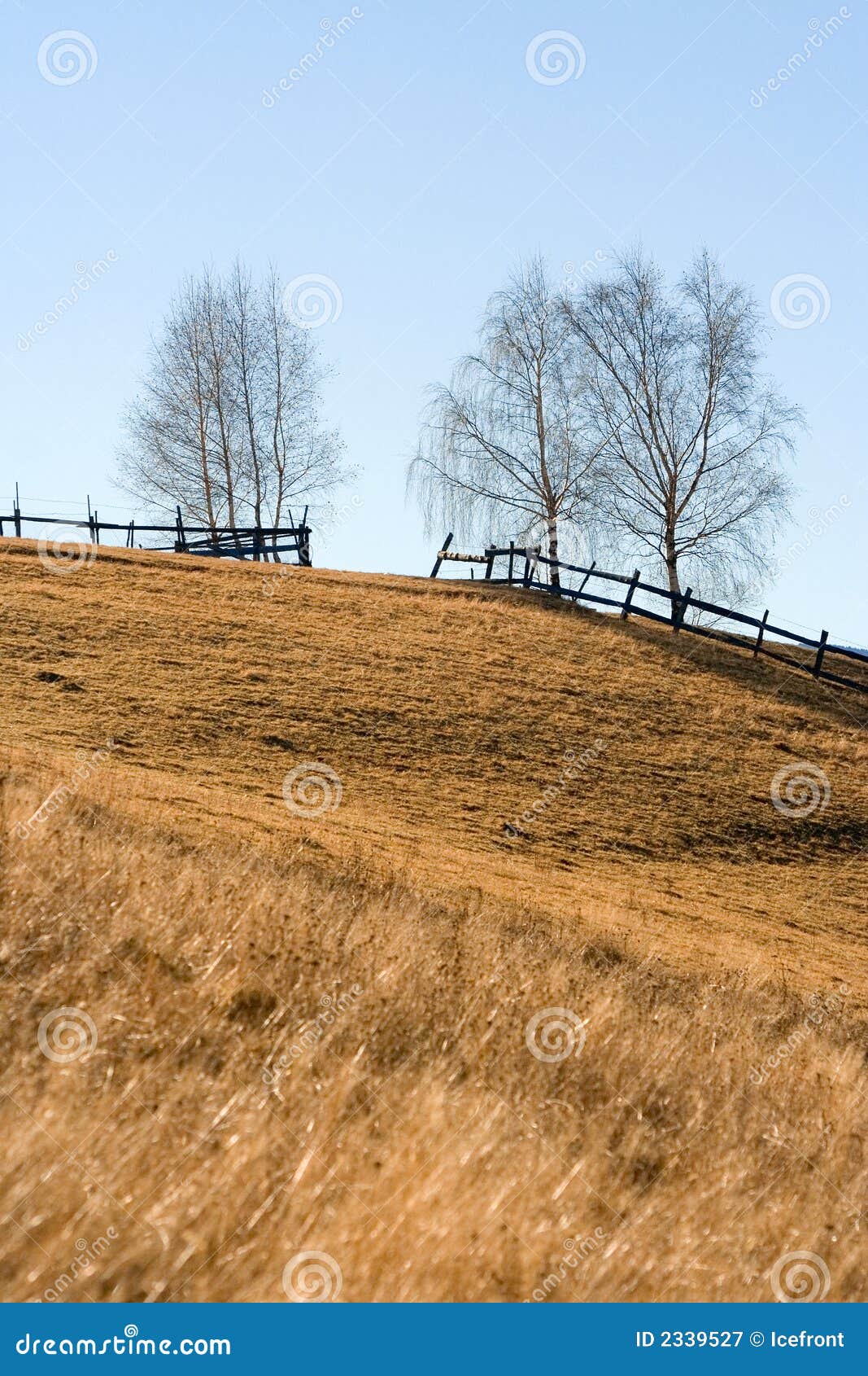 Meadow stock image. Image of enclosure, pale, land, autumn - 2339527