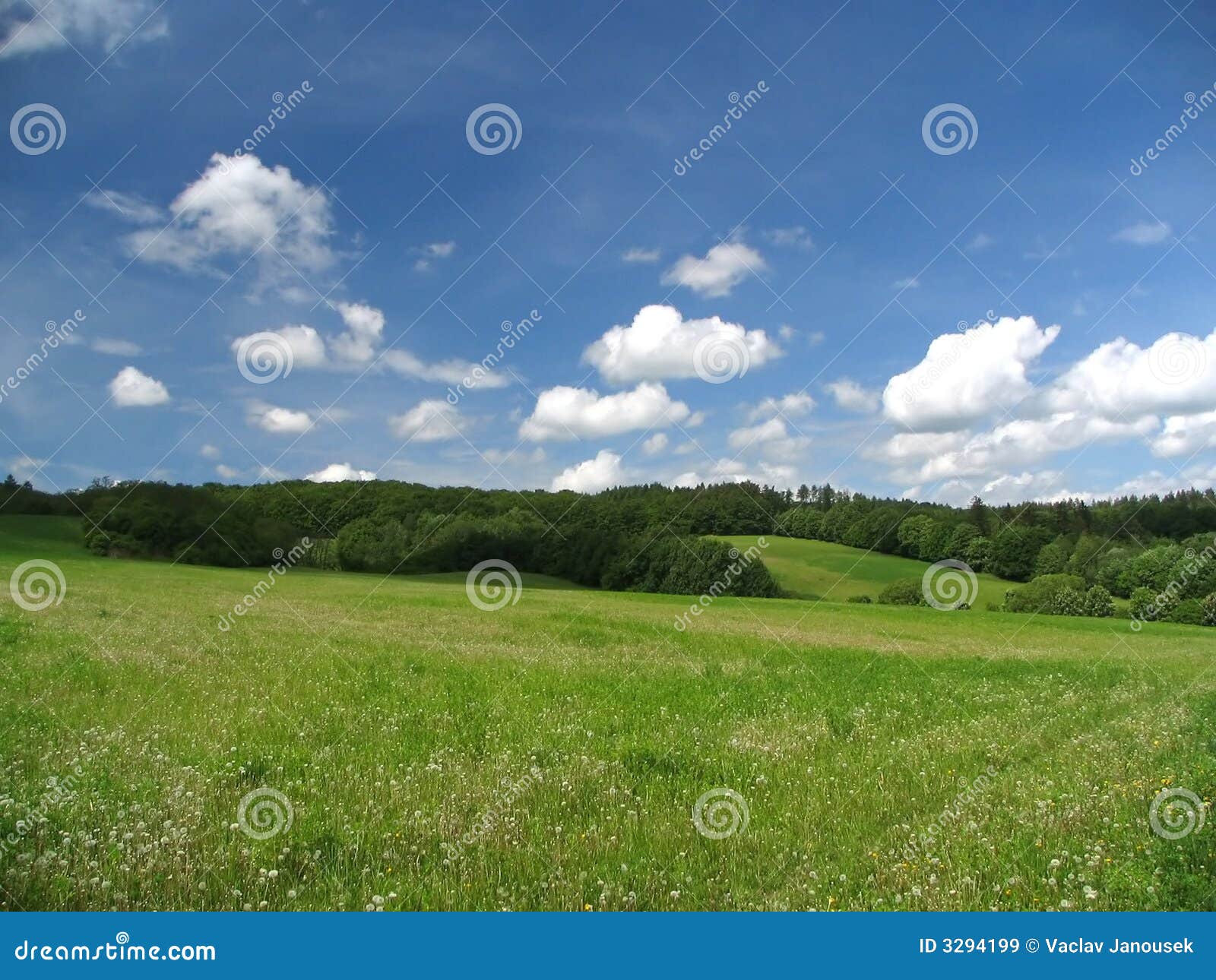 Meadow stock image. Image of meadow, clouds, blooms, blue - 3294199