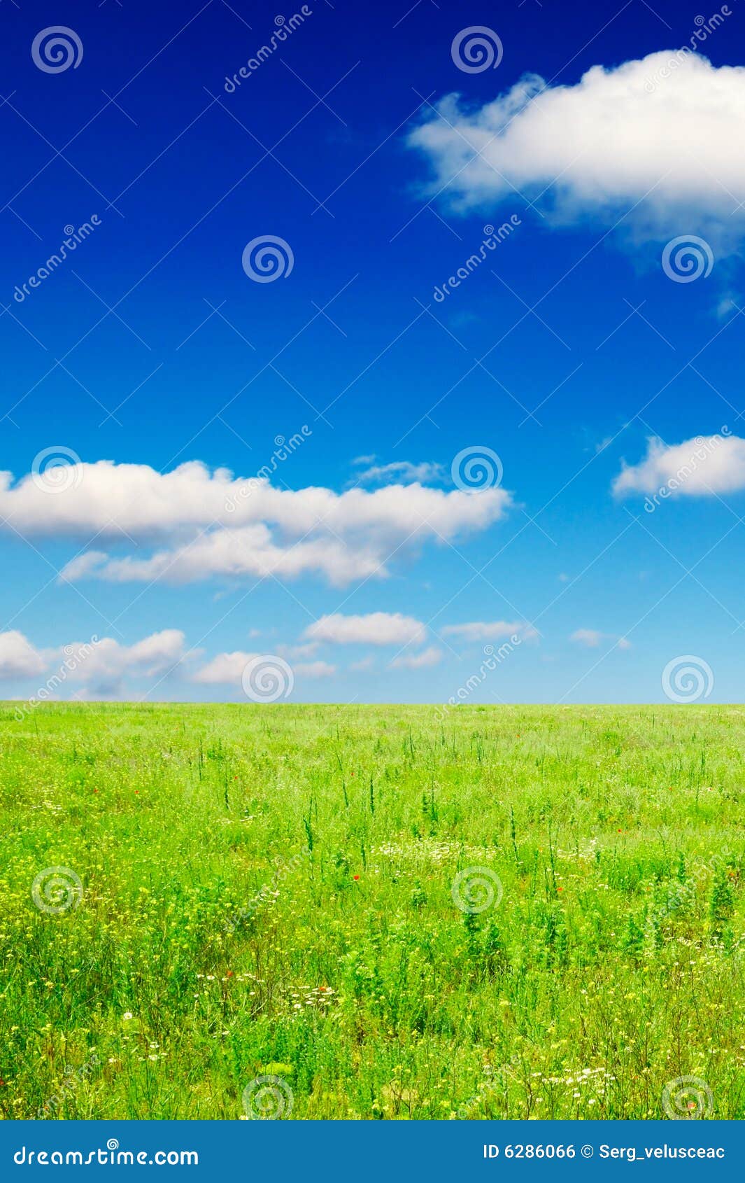 Meadow stock photo. Image of blue, farm, meadow, natural - 6286066