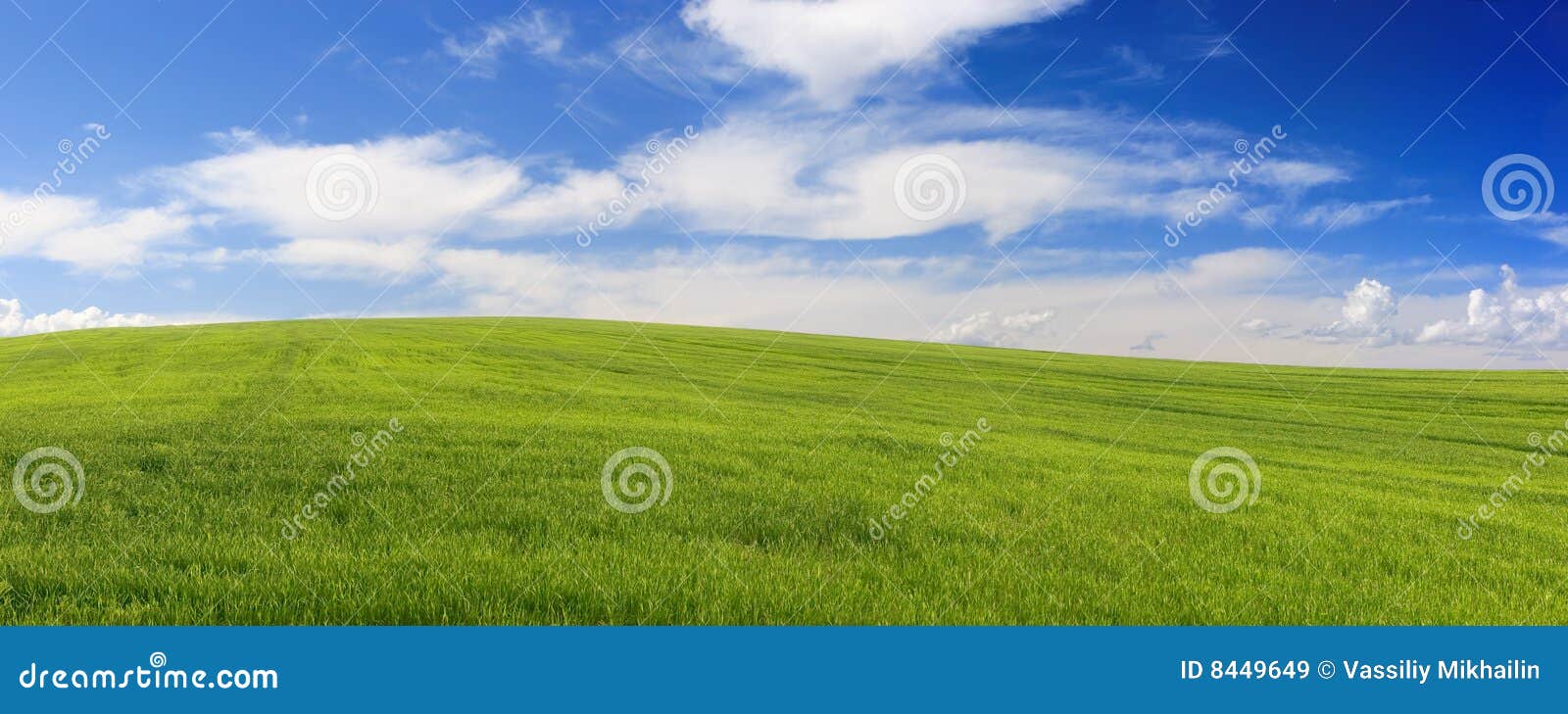 Meadow stock image. Image of scene, spring, panoramic - 8449649
