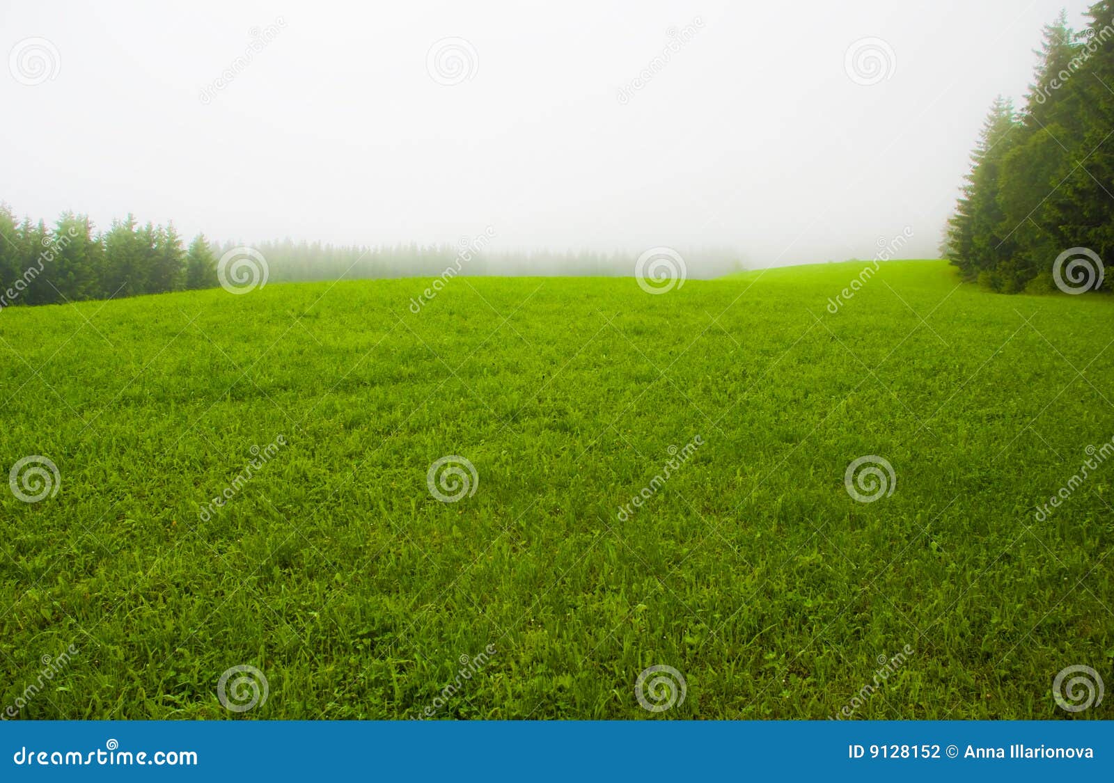 Meadow stock photo. Image of countryside, mistery, nature - 9128152