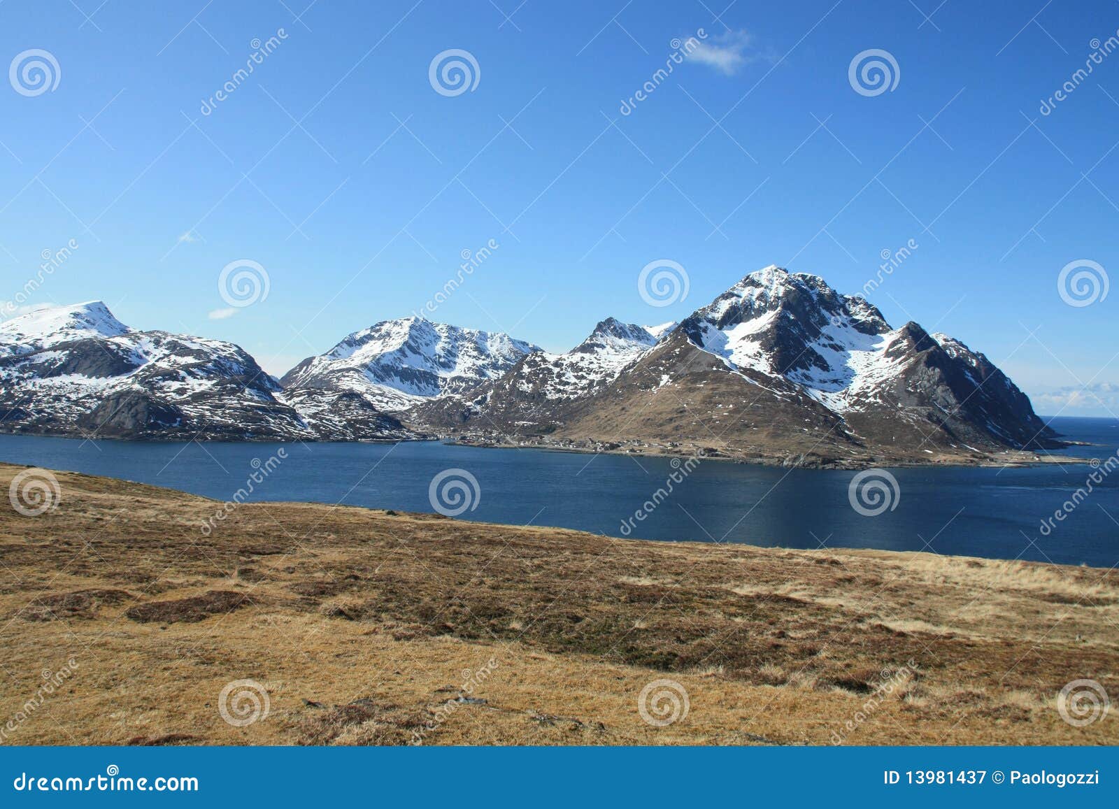 Meadow above Napp fjord stock image. Image of colours - 13981437