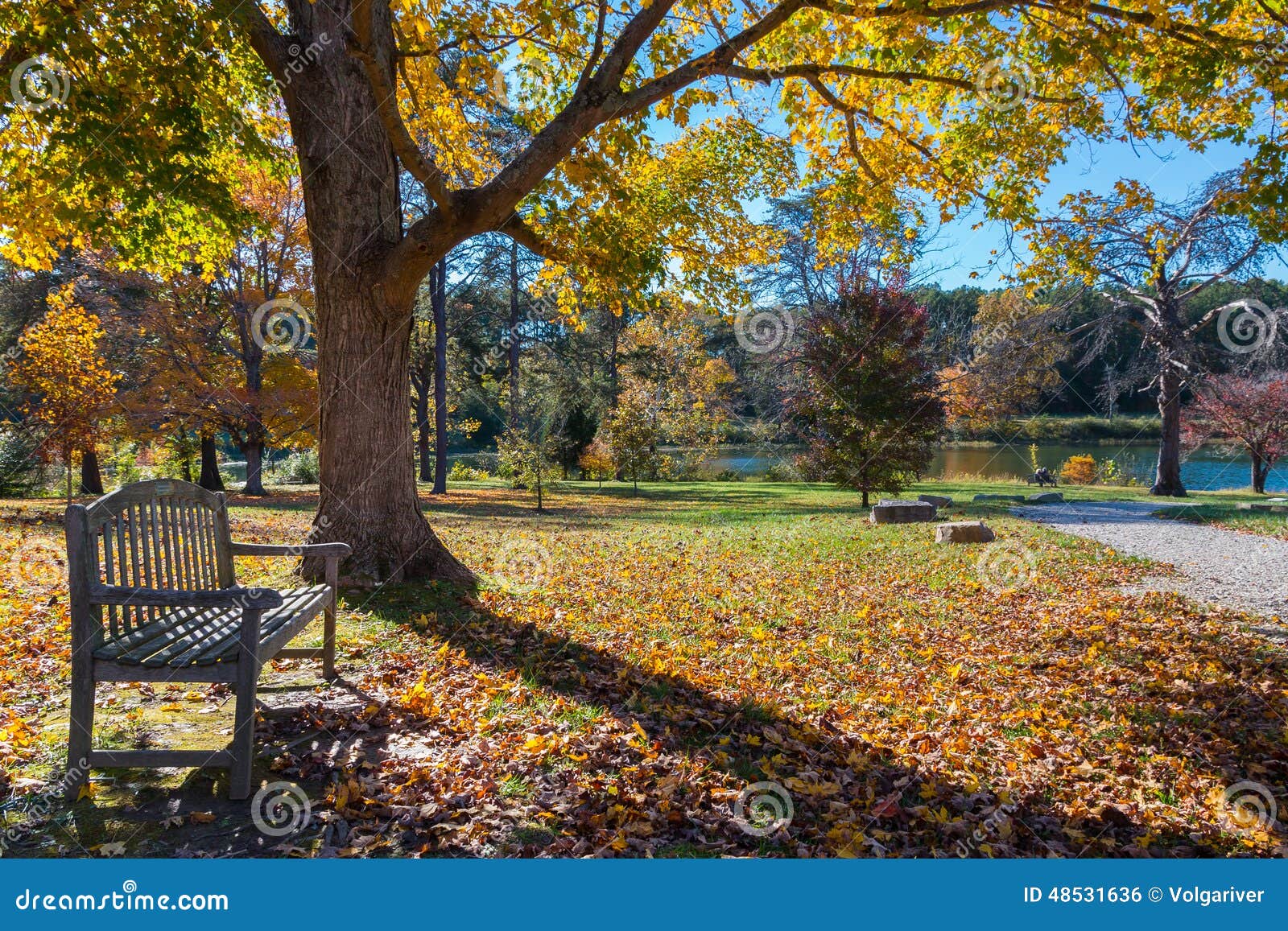 Meadow in Autumn Park with Bench Under Big Tree Stock Photo - Image of ...