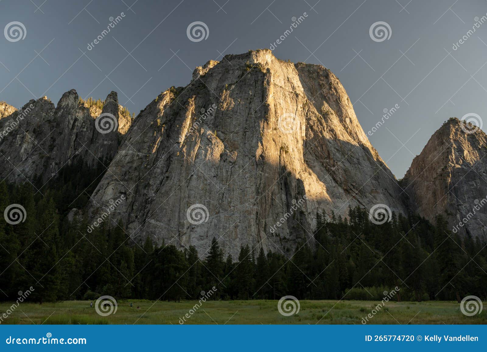 Meadow Below El Capitan with Wide View Stock Photo - Image of blades ...