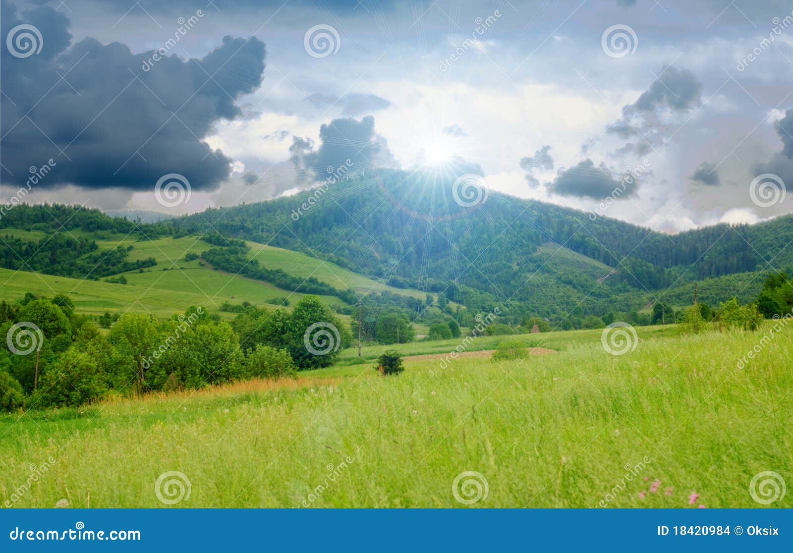 Meadow and blue sky stock photo. Image of hill, color - 18420984