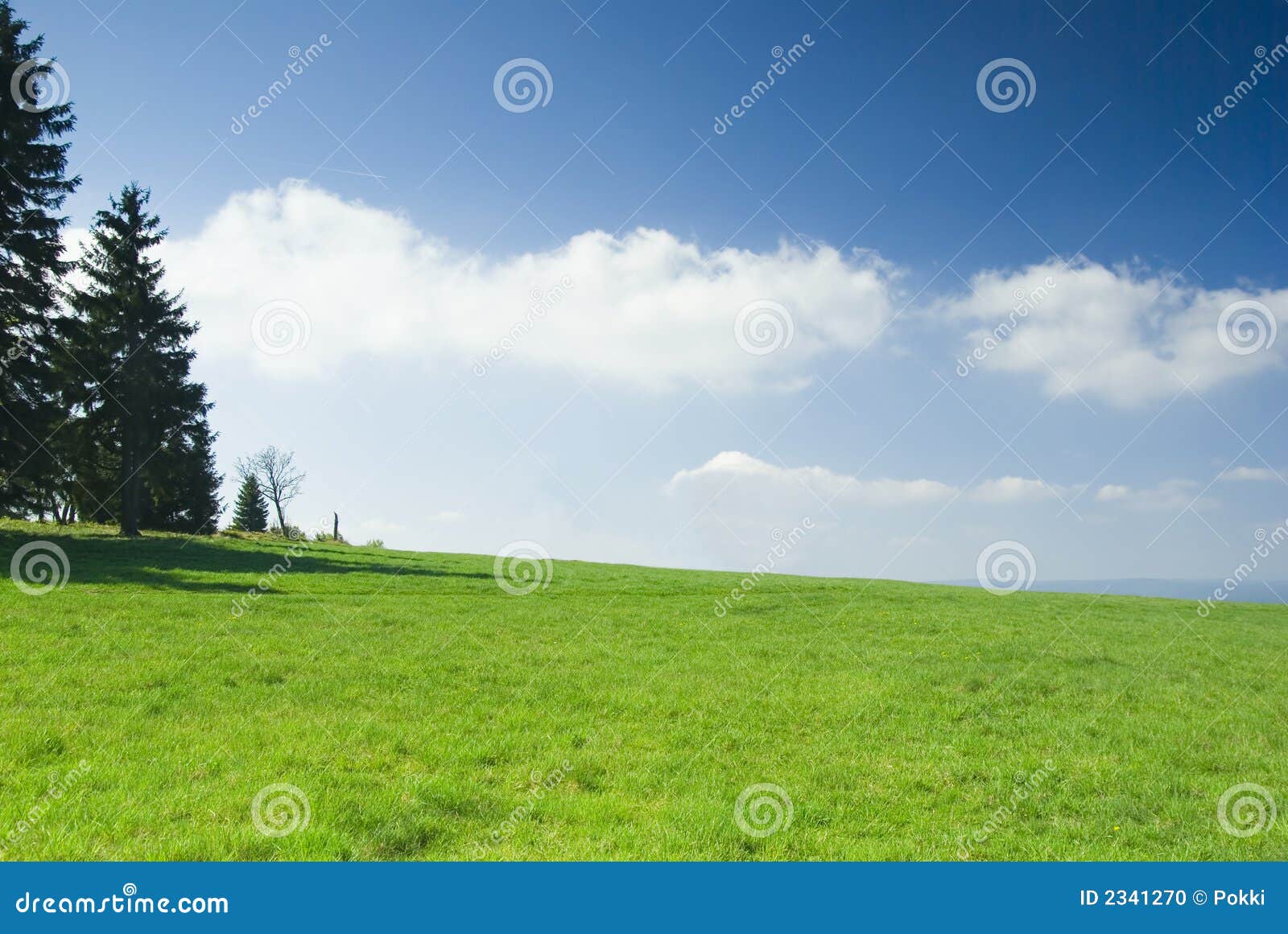 Meadow with blue sky. stock photo. Image of grass, nature - 2341270