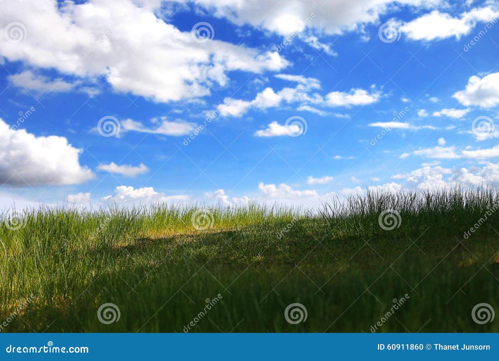 Meadow on Blue Sky and Cloud Background Stock Photo - Image of ...