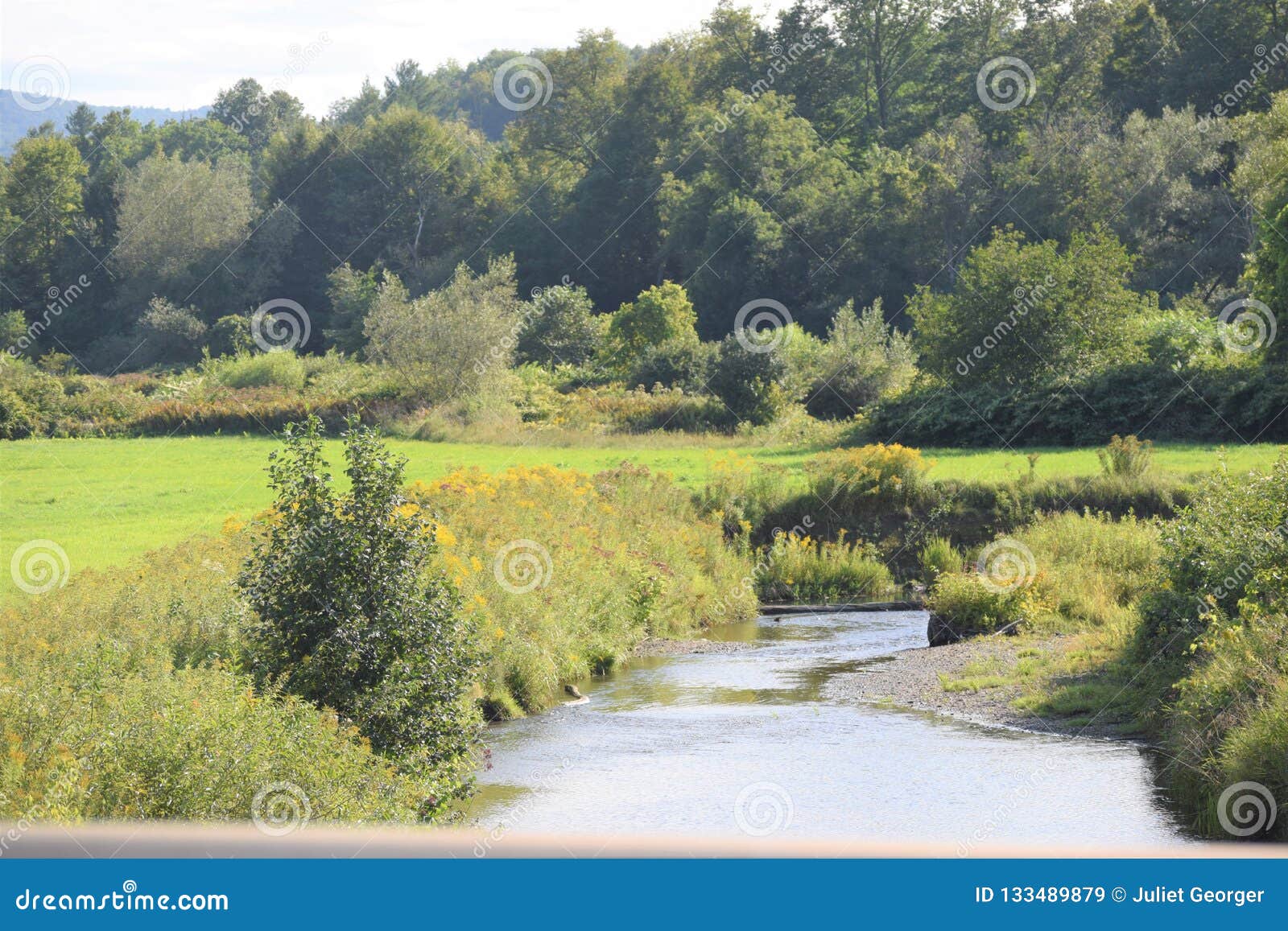 A Meadow with a Brook Running through it Stock Image - Image of ...