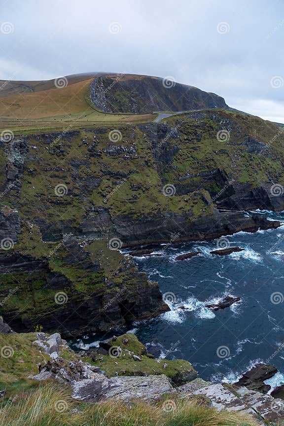 Meadow and Cliff at the Cliffs of Kerry Stock Photo - Image of ...