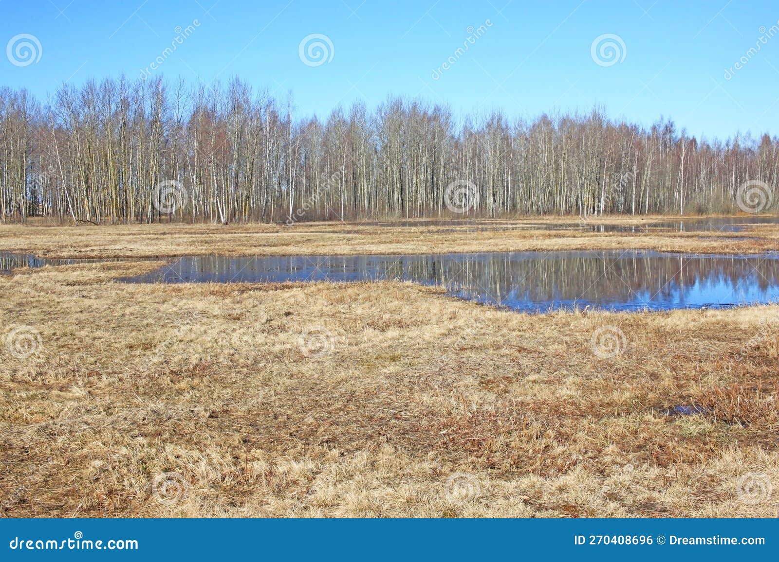 Early spring landscape stock photo. Image of spring - 270408696