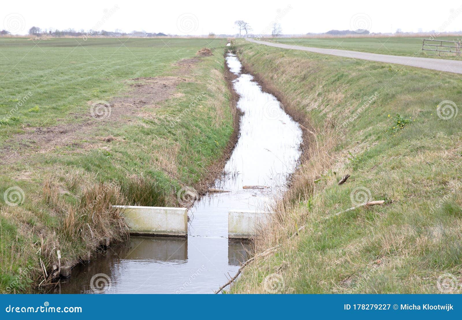 Meadow with a Ditch in the Netherlands Stock Image - Image of border ...