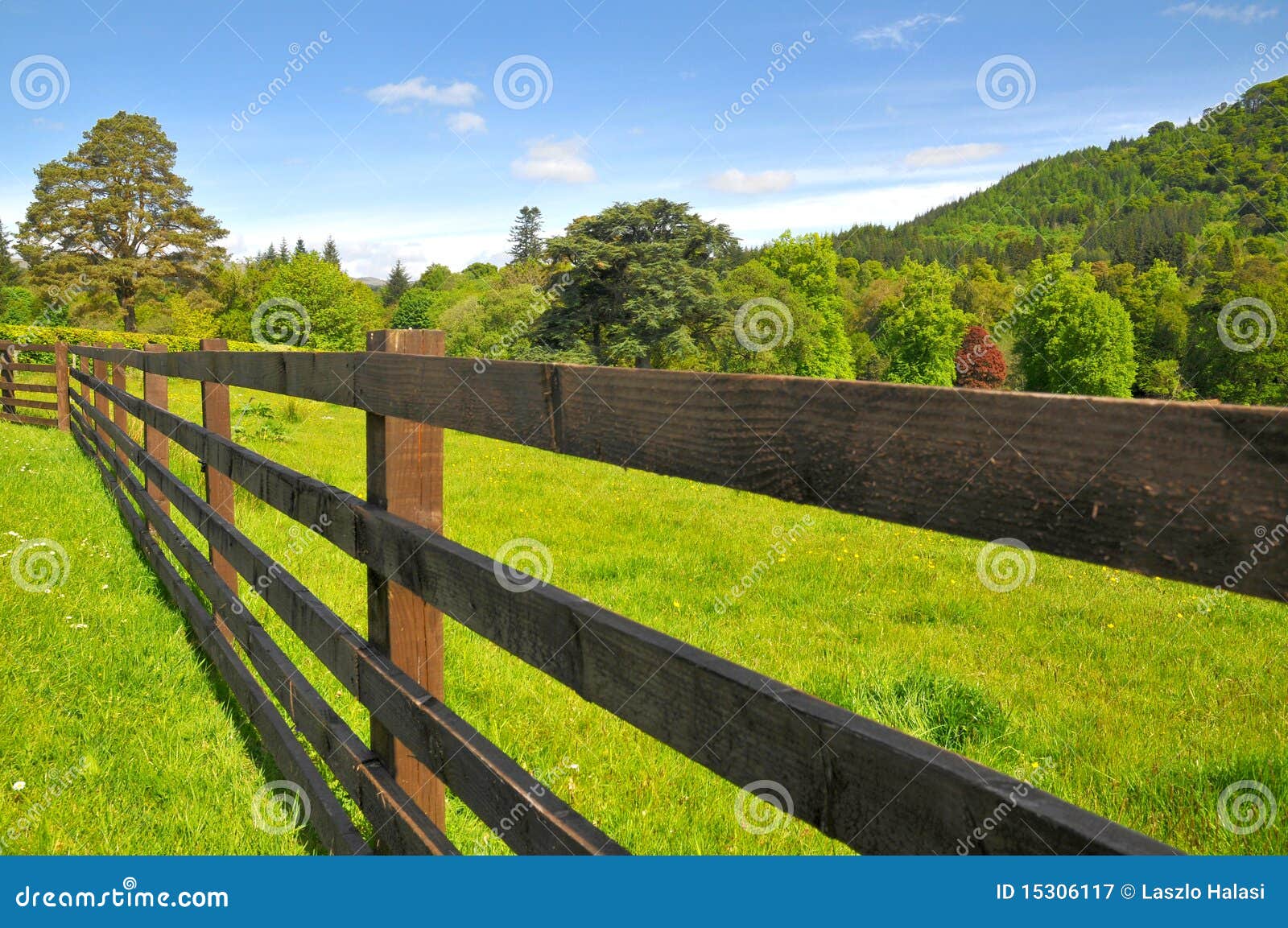 Meadow with fence stock image. Image of outside, park - 15306117