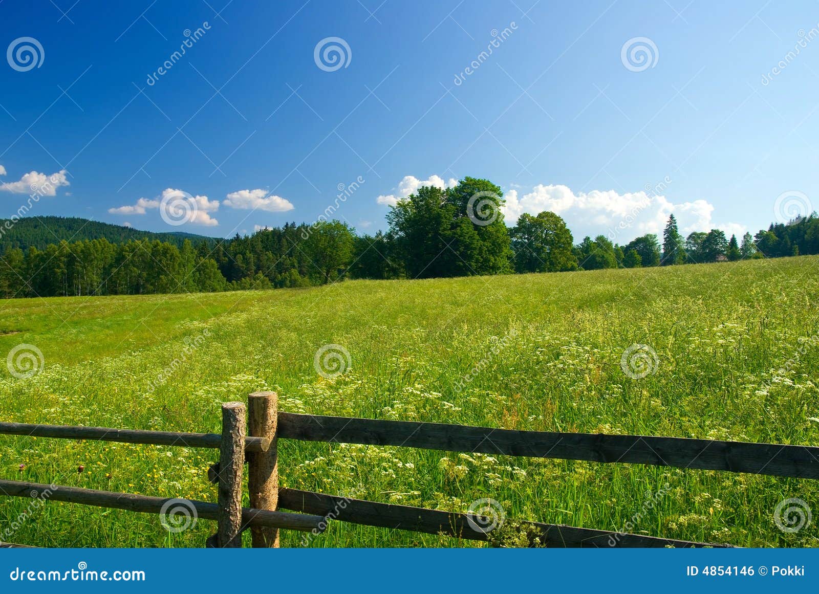 Meadow with Fence and Blue Sky. Stock Photo - Image of park, bright ...