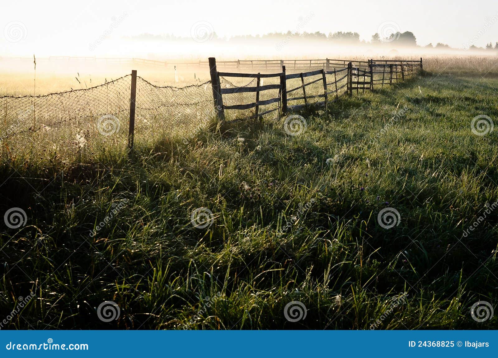 Meadow and Fence at Countryside Stock Image - Image of fresh, fence ...